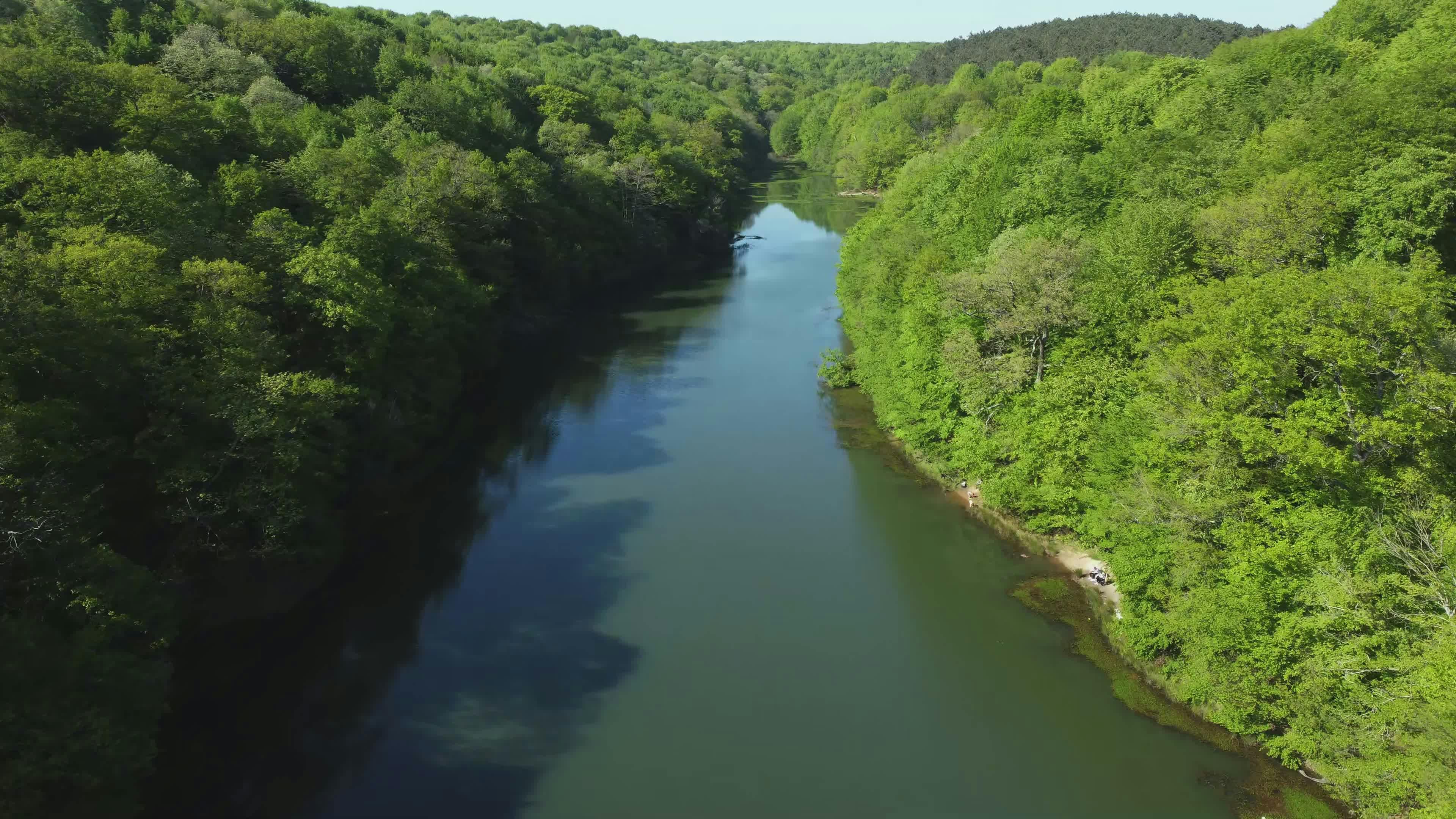 Vidéo gratuite de 60 images par seconde, aérien, arbres, aventure en ...