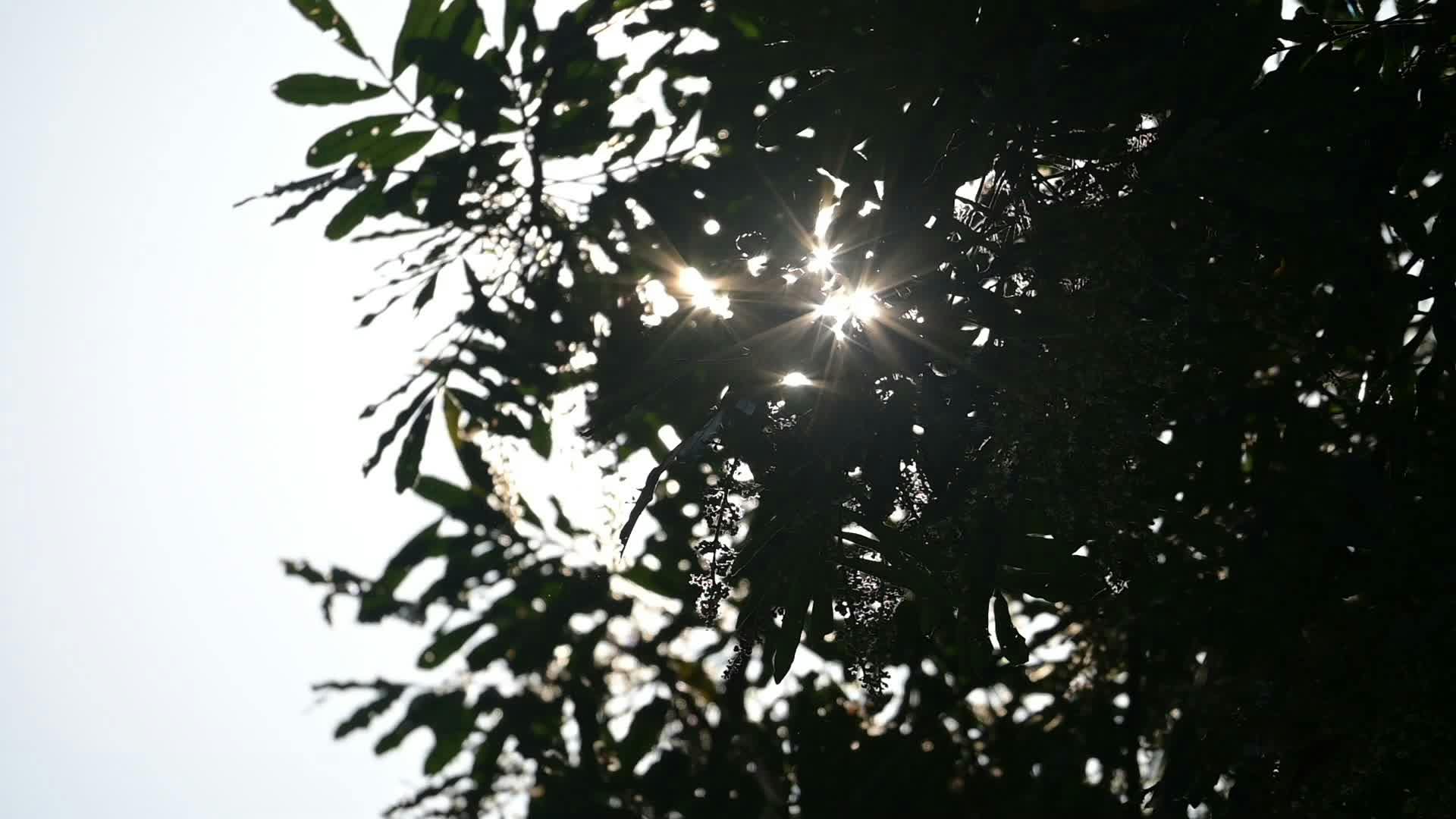 Naufan Rusyda Faikar - Fotografi