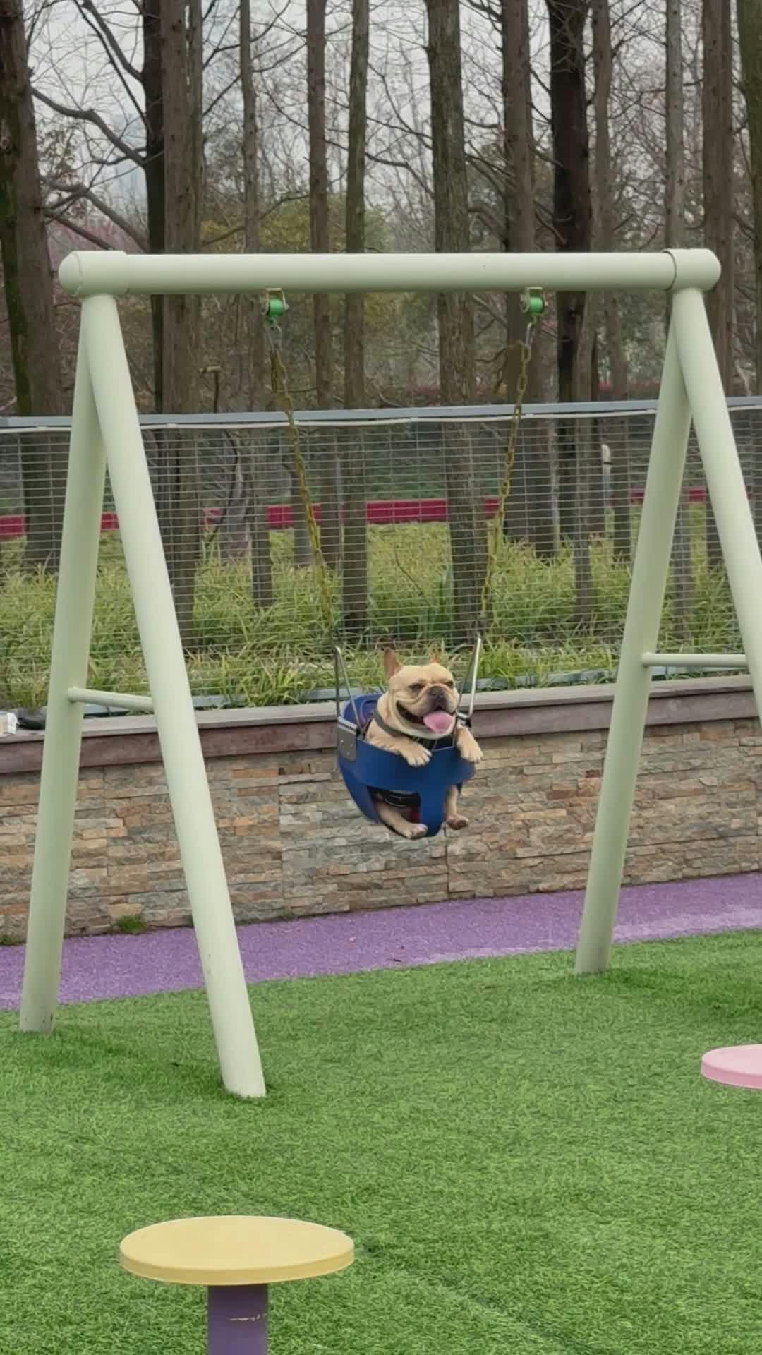 Chris Zhou - Photography