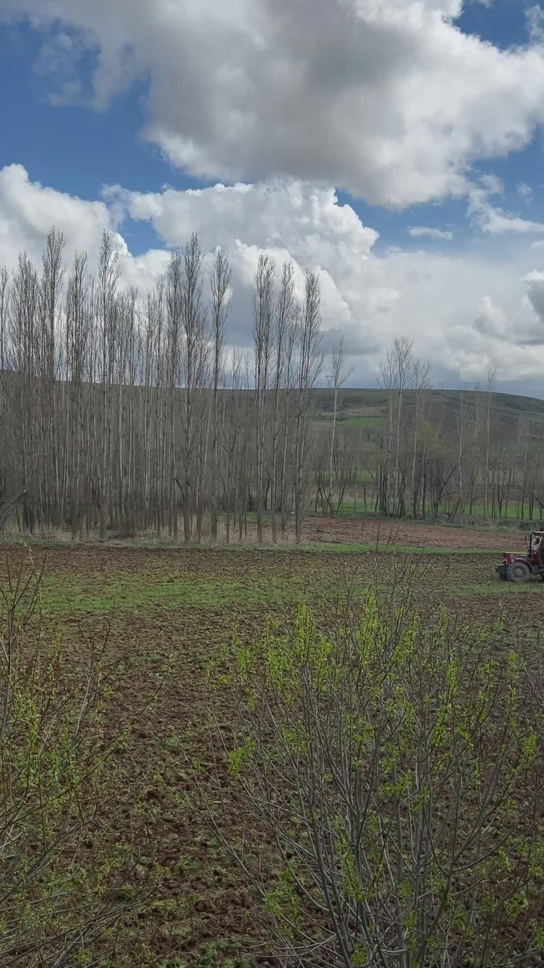 Answer Engine Videos, Download The BEST Free 4k Stock Video Footage ...