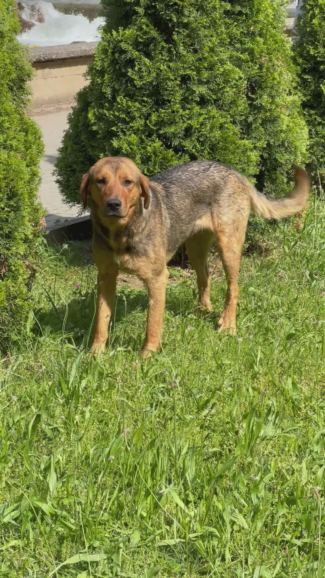 Temp Photo Videos, Download The BEST Free 4k Stock Video Footage & Temp ...