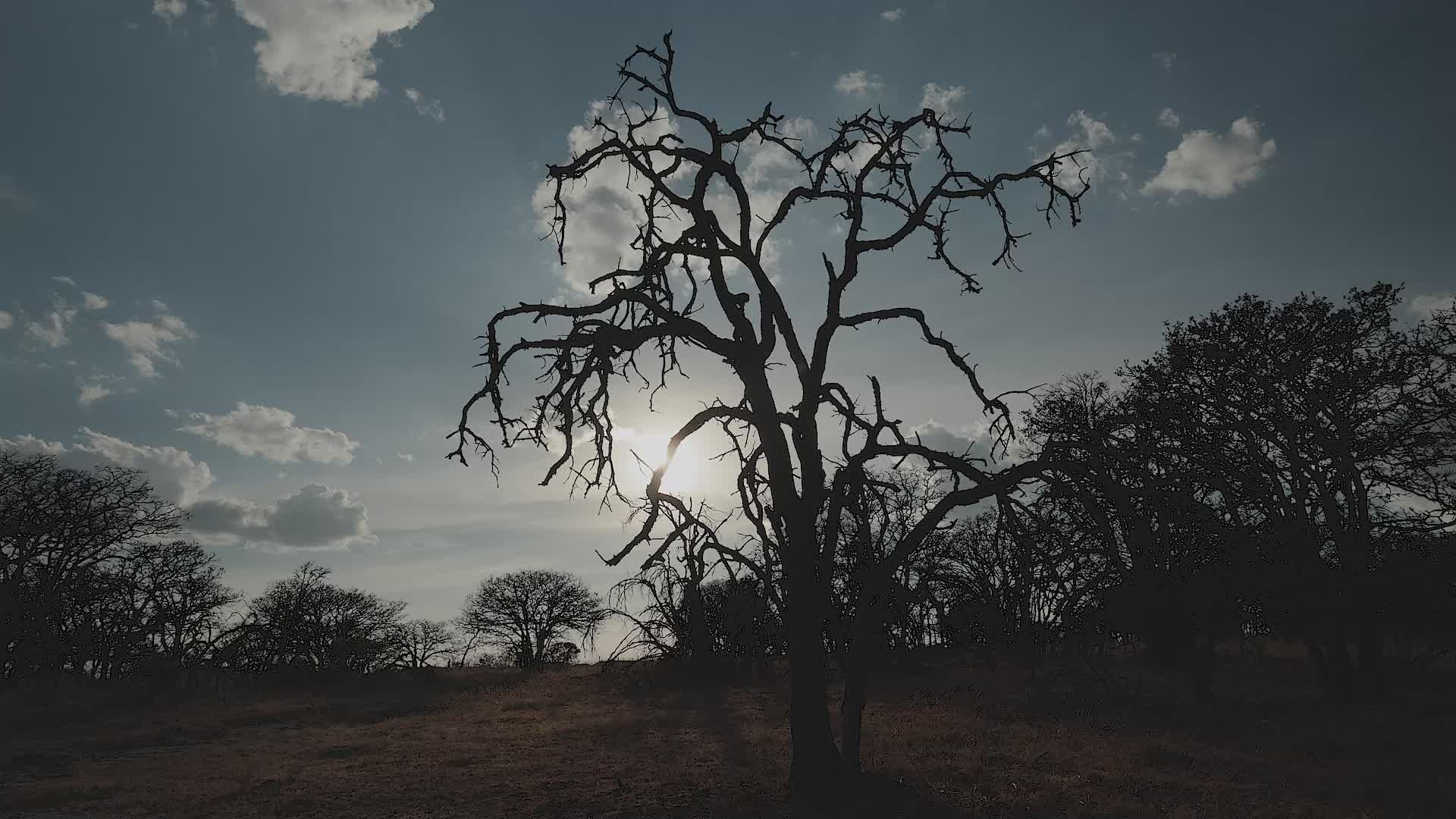 The End Of Video Videos, Download The BEST Free 4k Stock Video Footage ...