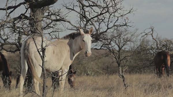 360 Video Videos, Download The BEST Free 4k Stock Video Footage & 360 ...