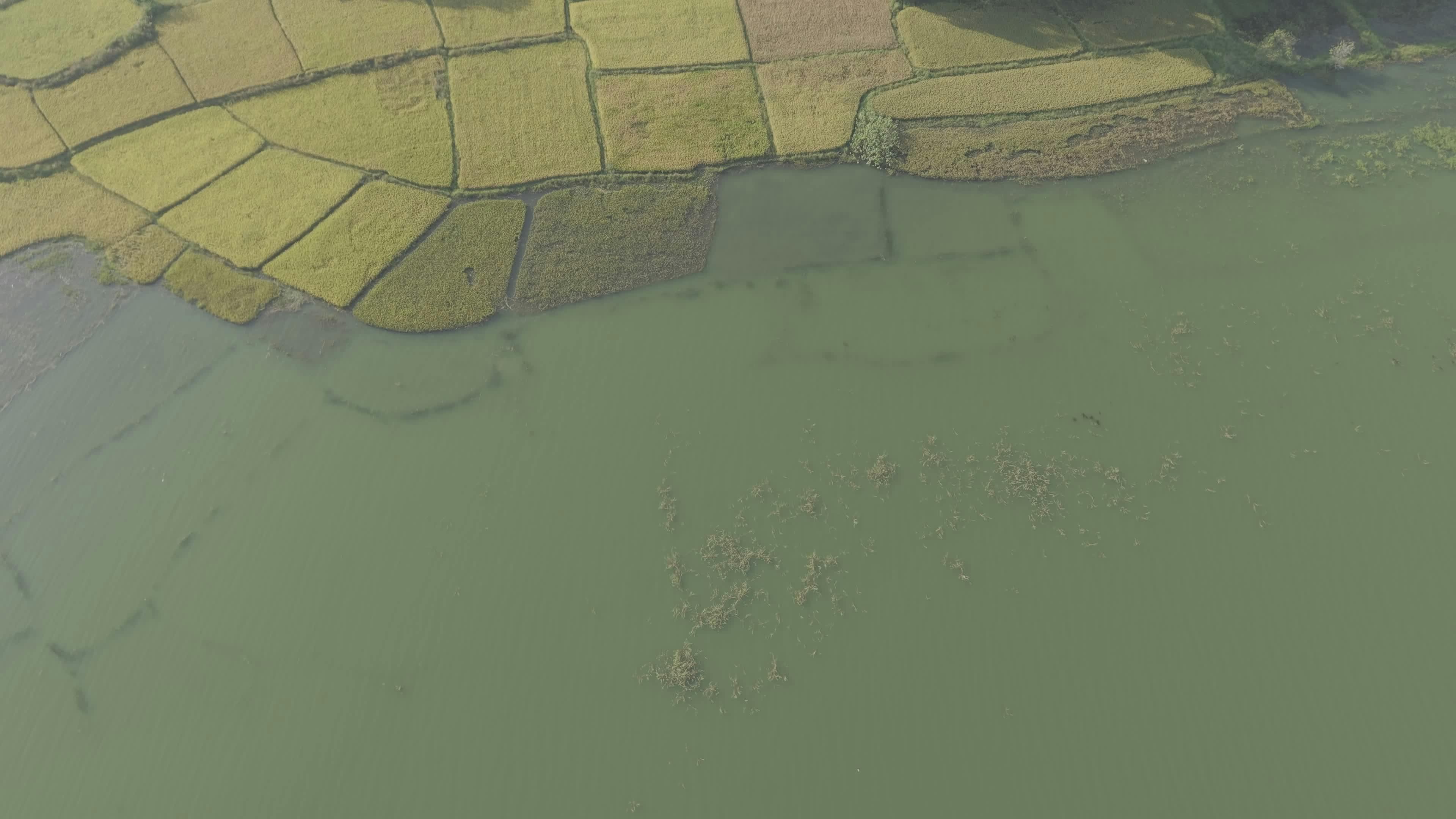 Nature Plots For Revit Videos, Download The BEST Free 4k Stock Video ...