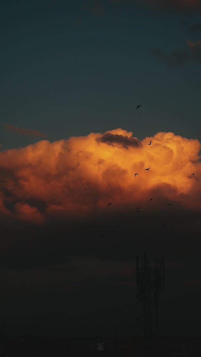 Transitions Video Videos, Download The BEST Free 4k Stock Video Footage ...