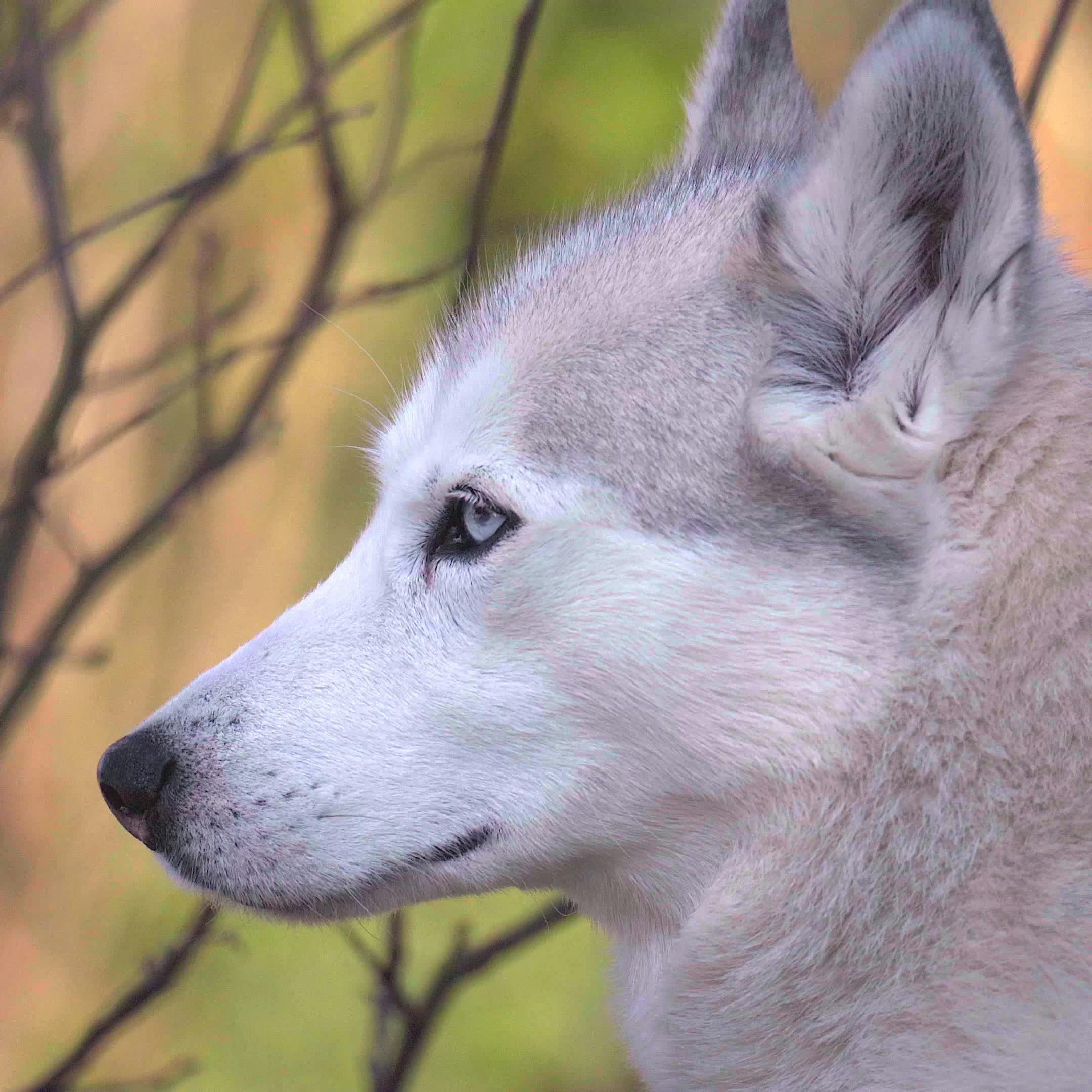 Easyanticheat Setup.Exe Nytt Tiere Videos, Download The BEST Free 4k ...