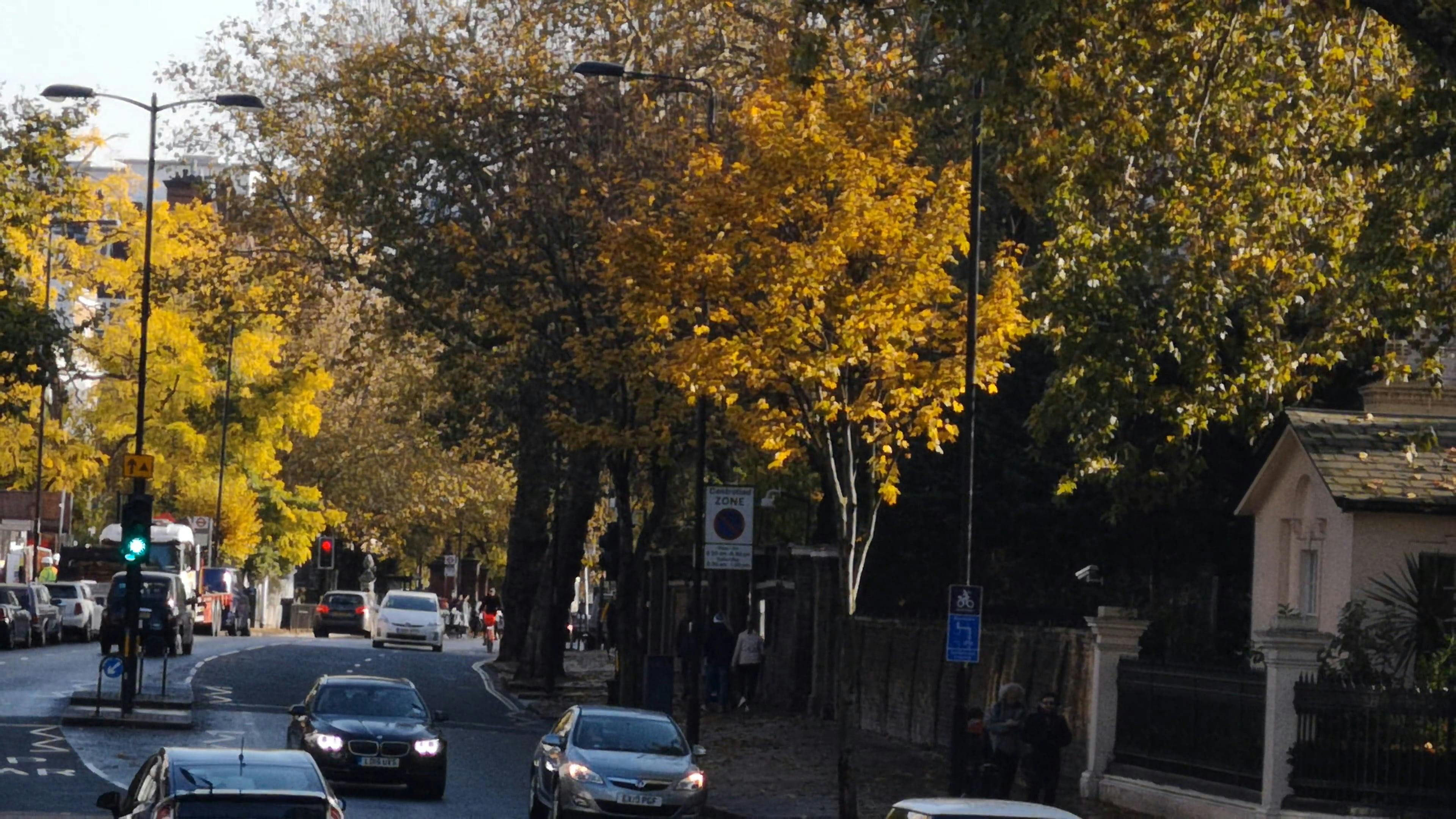 Street Footage With Vehicle Passing By · Free Stock Video