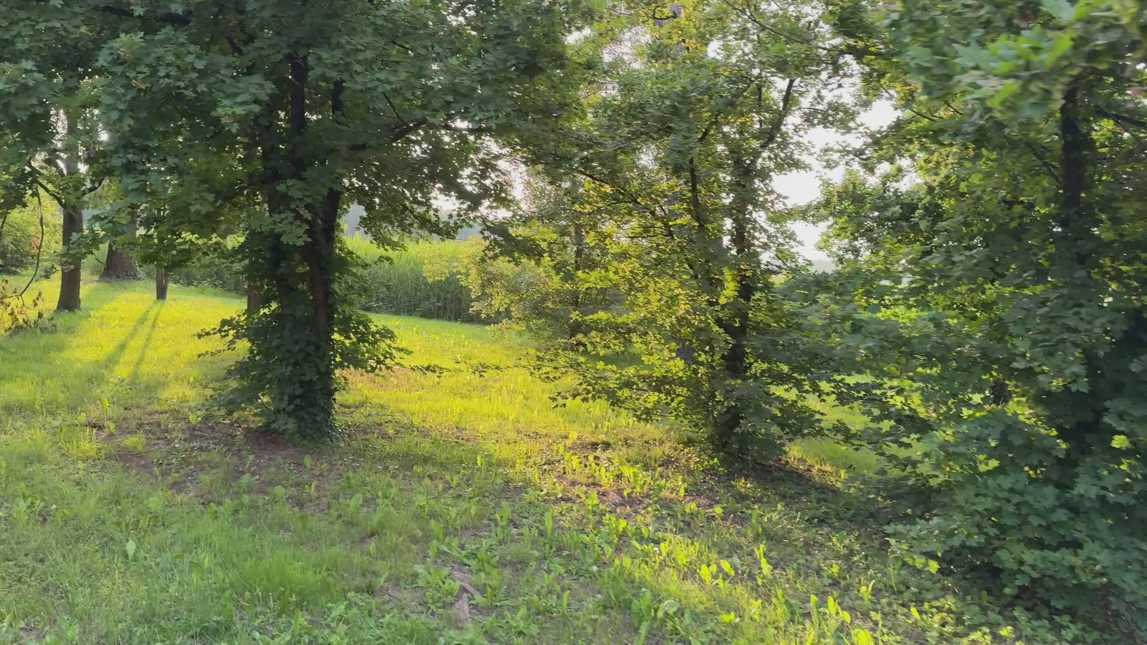 Safe Path Videos, Download The BEST Free 4k Stock Video Footage & Safe ...