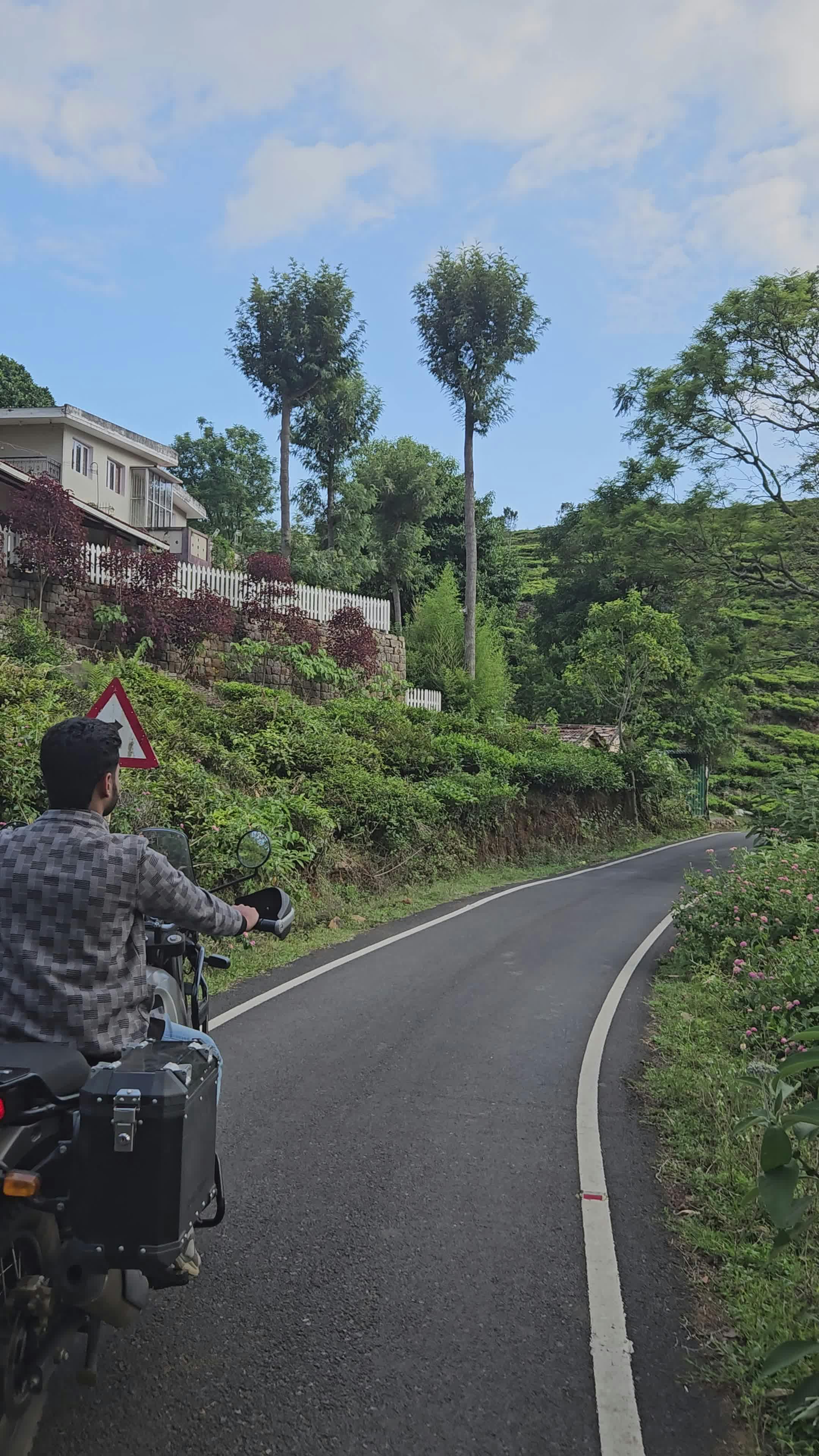 Rapunzel And Flynn Rider Wallpaper Videos, Download The BEST Free 4k ...