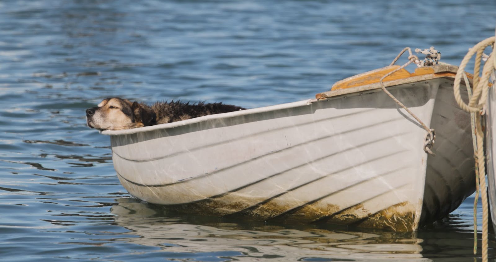 Animated Boat Videos, Download The BEST Free 4k Stock Video Footage ...