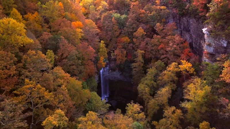 Fall Videos, Download The BEST Free 4k Stock Video Footage & Fall HD ...