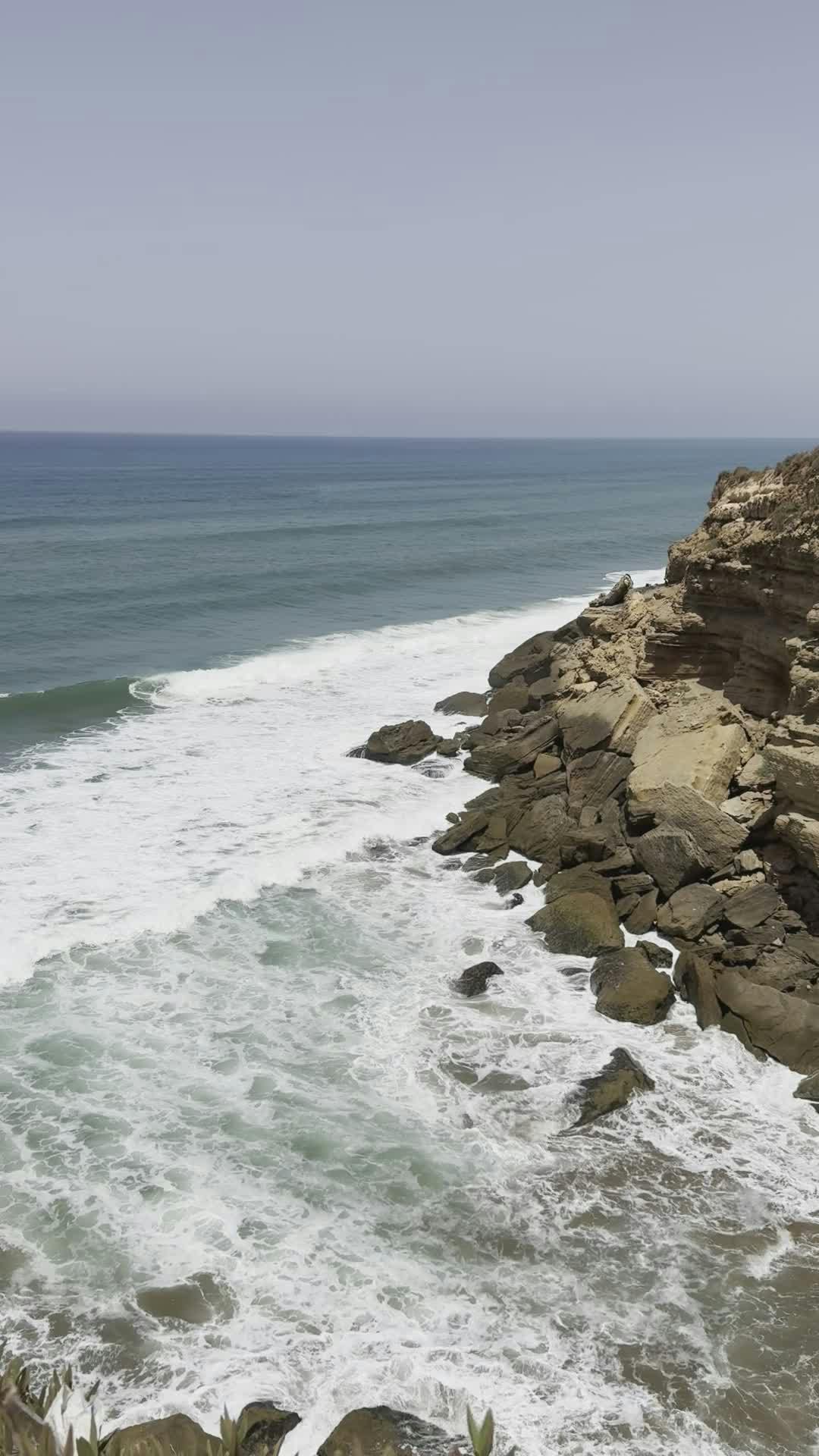 Pexels素材 Videos, Download The BEST Free 4k Stock Video Footage & Pexels ...