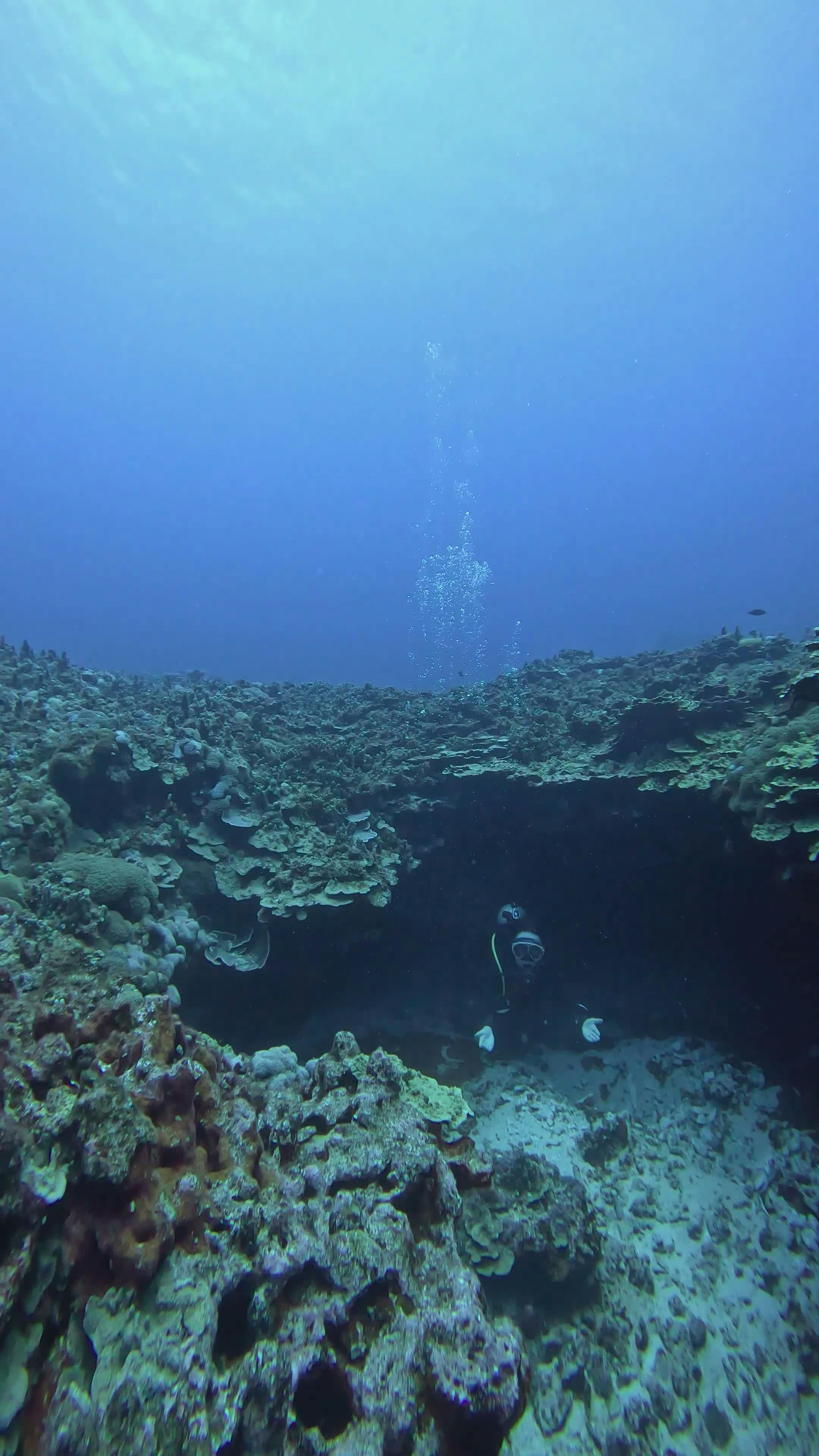 Malta Videos, Download The BEST Free 4k Stock Video Footage & Malta HD ...