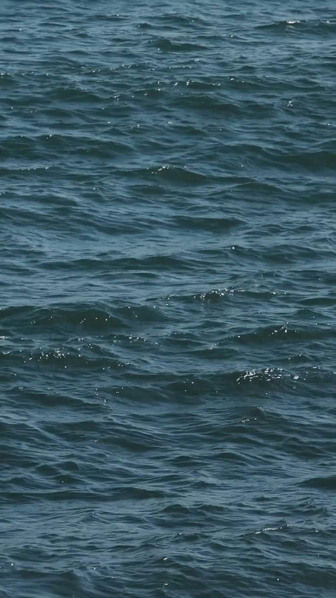 Ambient Blue Videos, Download The BEST Free 4k Stock Video Footage ...