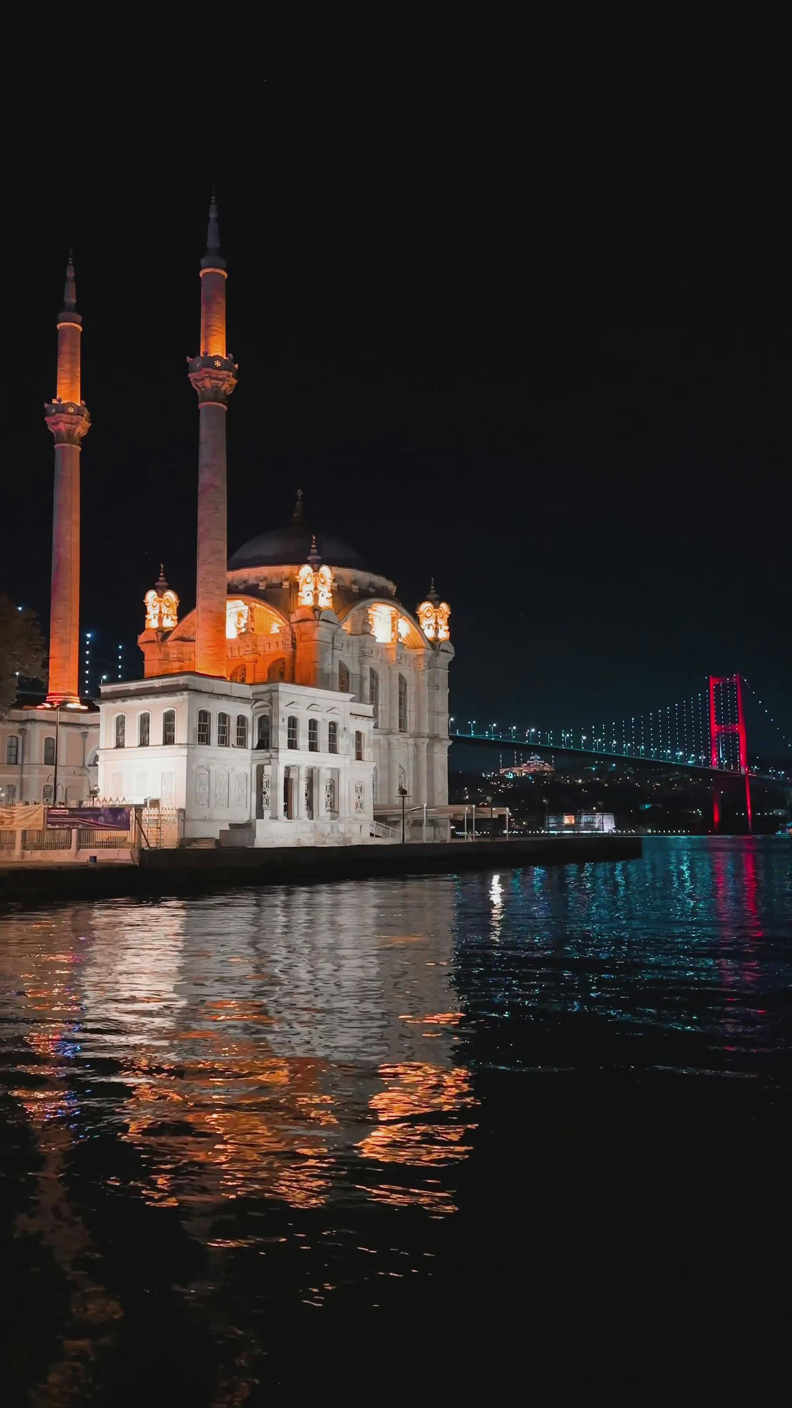 Animals+Mating+Hard+And+Long+Video Videos, Download The BEST Free 4k ...