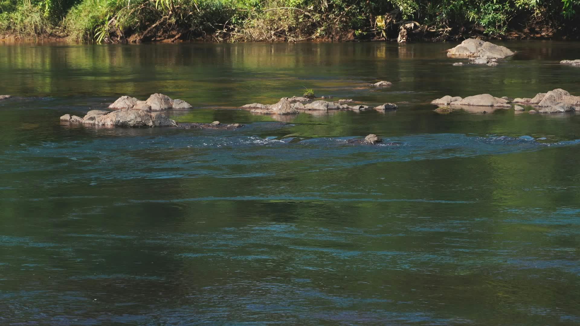 Backgrounds For Videos Videos, Download The BEST Free 4k Stock Video ...