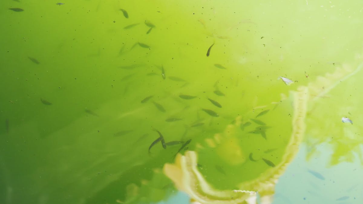 Xxww+Video Videos, Download The BEST Free 4k Stock Video Footage & Xxww ...