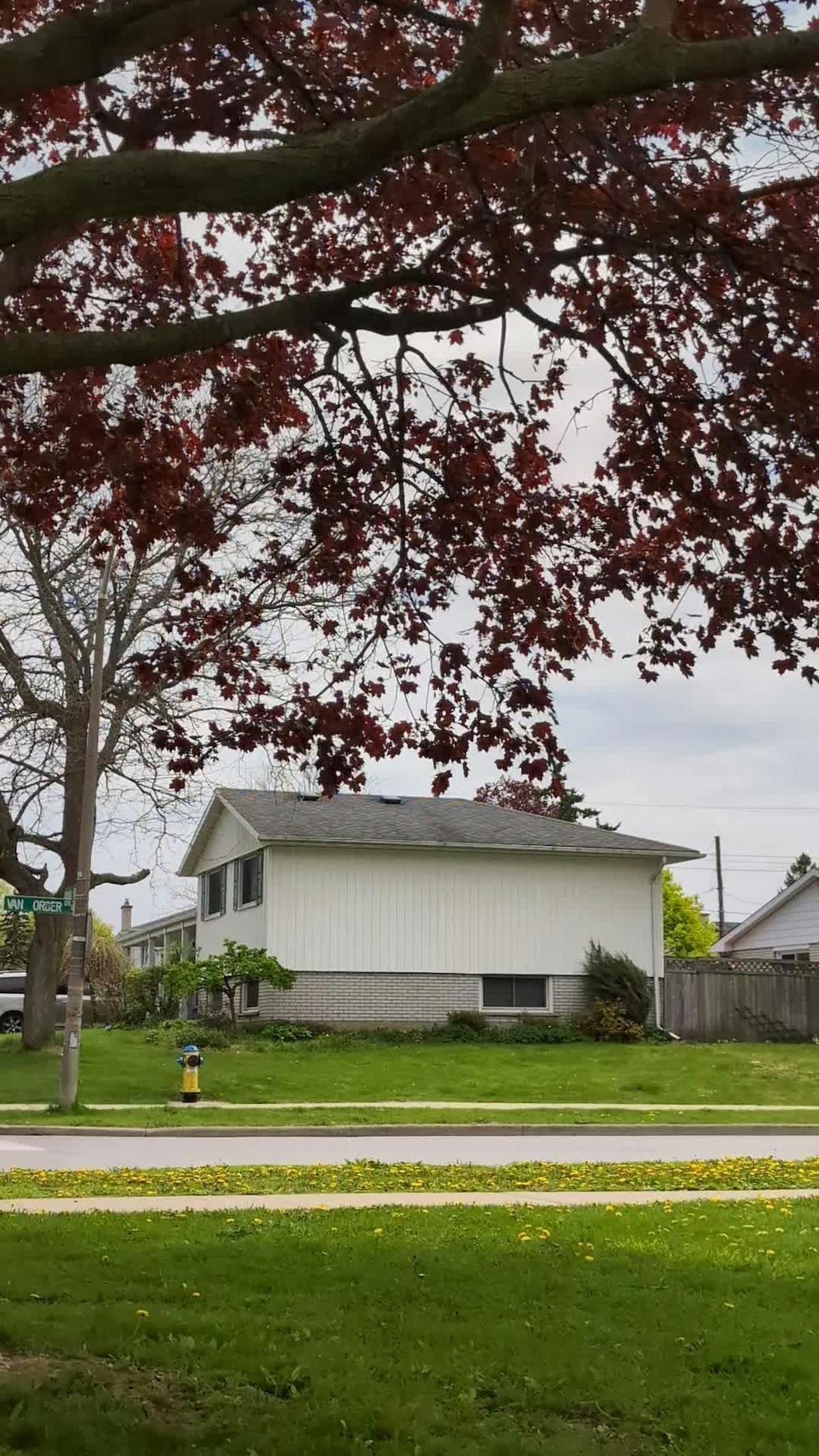 Static Overlay Videos, Download The BEST Free 4k Stock Video Footage ...