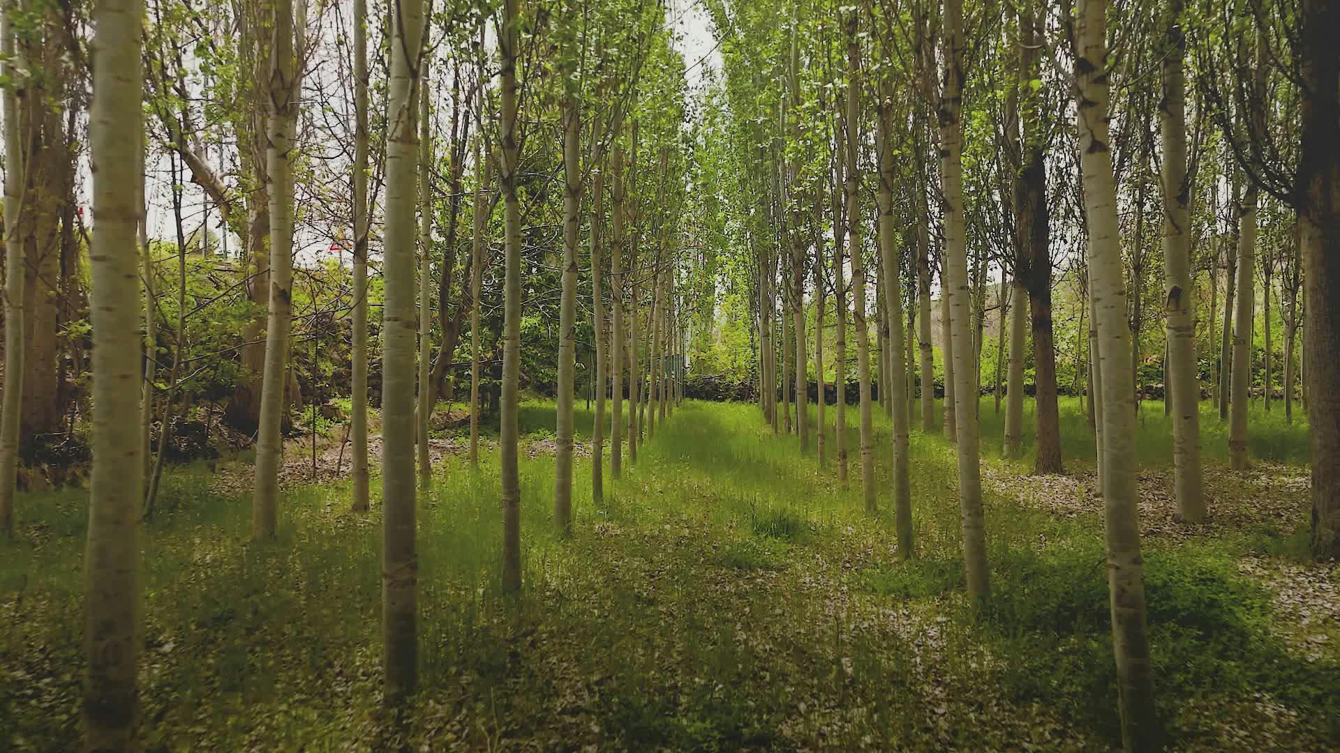 1.188+ Besten Animierte hintergrundbilder Kostenlose Videos ...