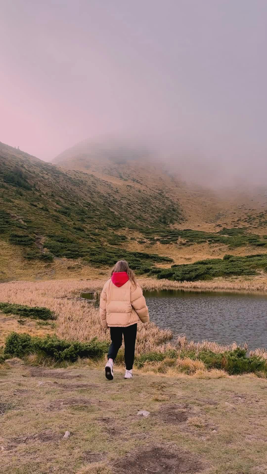 Wild Travel Videos, Download The BEST Free 4k Stock Video Footage ...