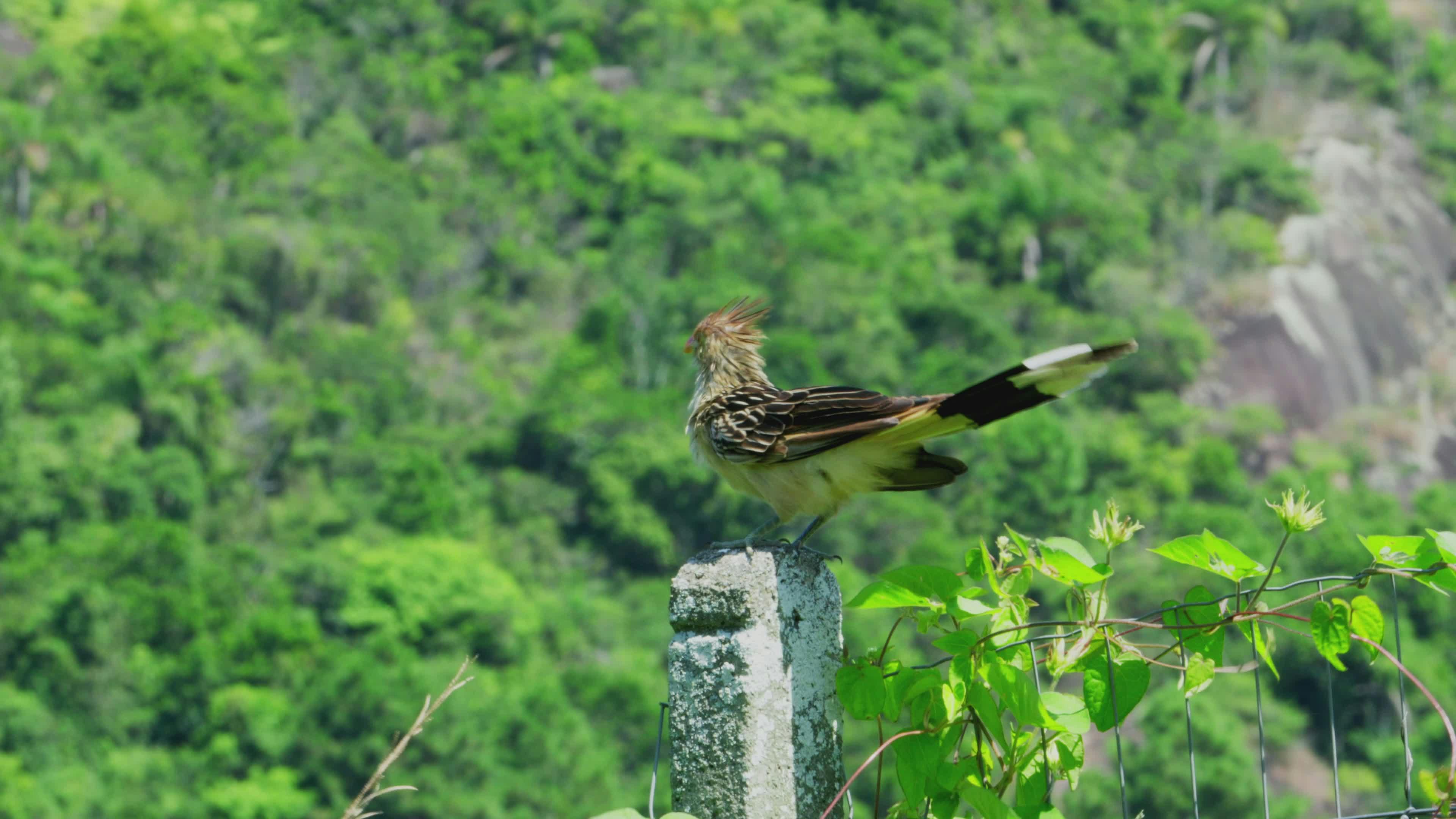 Functions Of Behavior Videos, Download The BEST Free 4k Stock Video ...