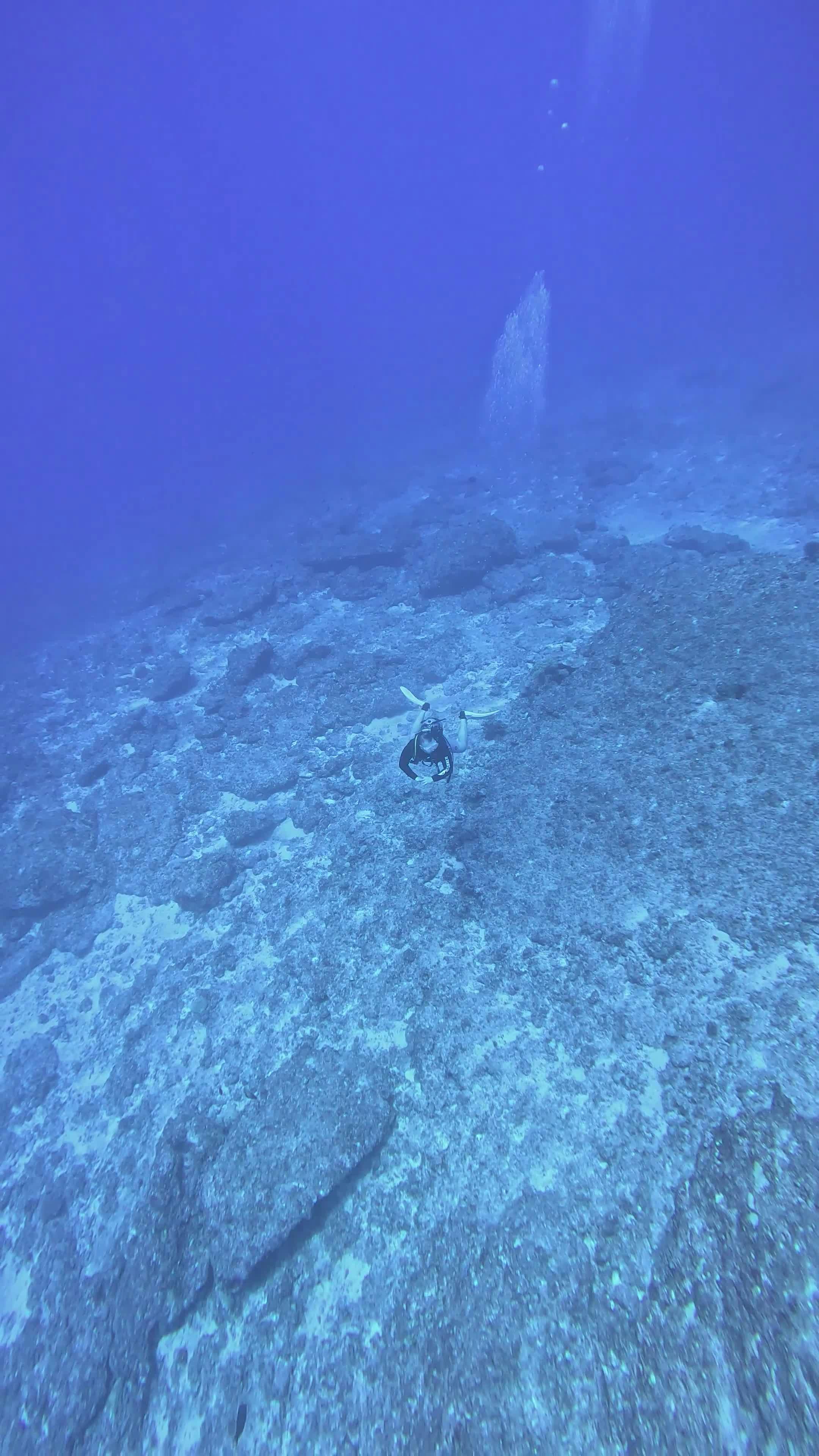 Ocean Observation Videos, Download The BEST Free 4k Stock Video Footage & Ocean Observation HD ...