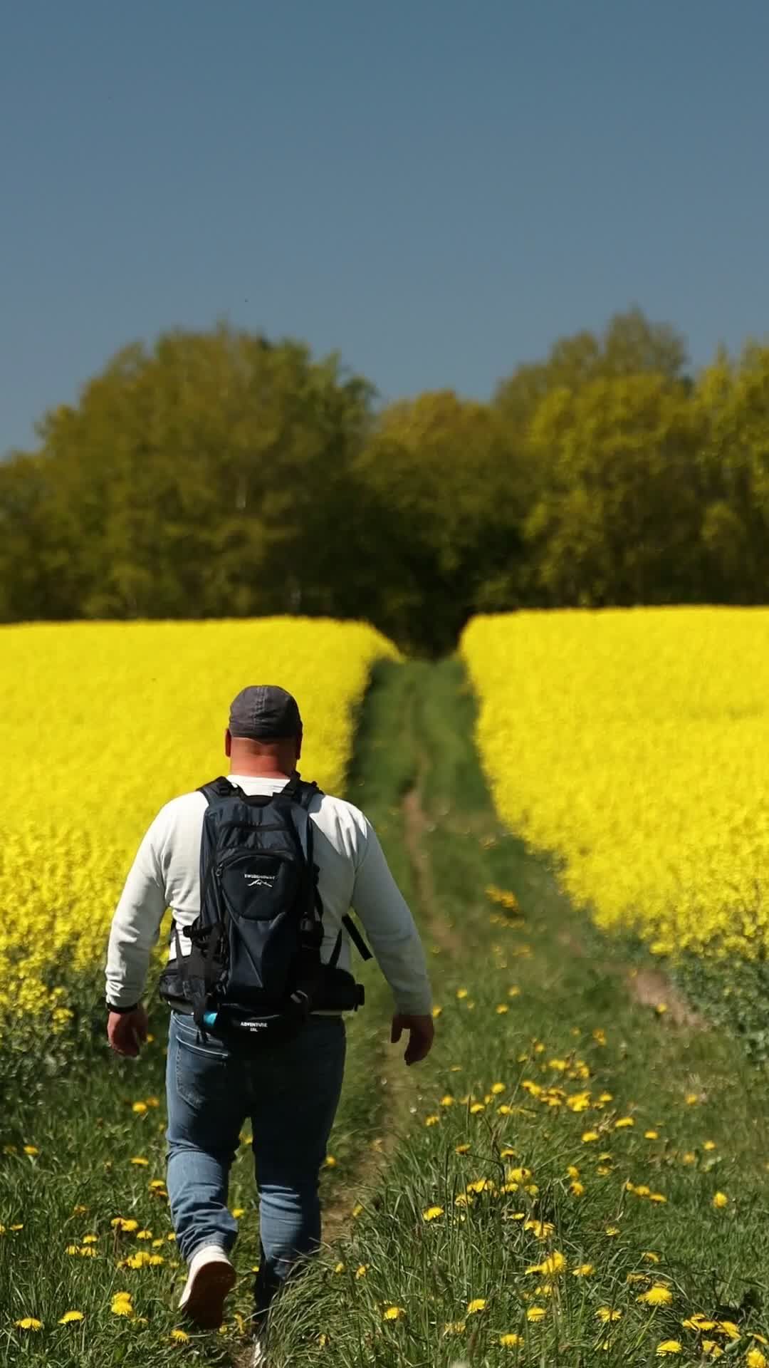 Man Wandering Videos, Download The BEST Free 4k Stock Video Footage ...