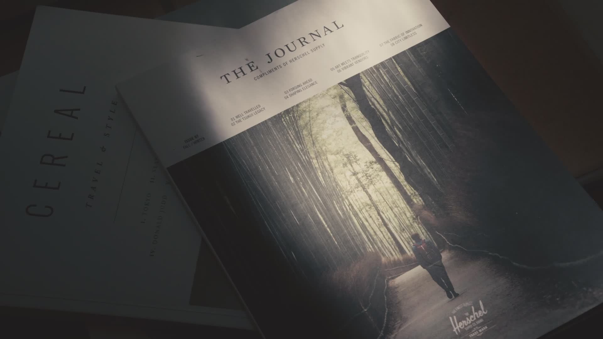Artistic Magazine Cover with Forest Imagery Free Stock Video Footage ...