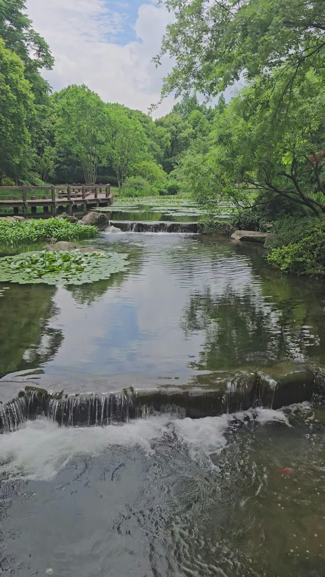 Oxygen 3d Videos, Download The BEST Free 4k Stock Video Footage ...