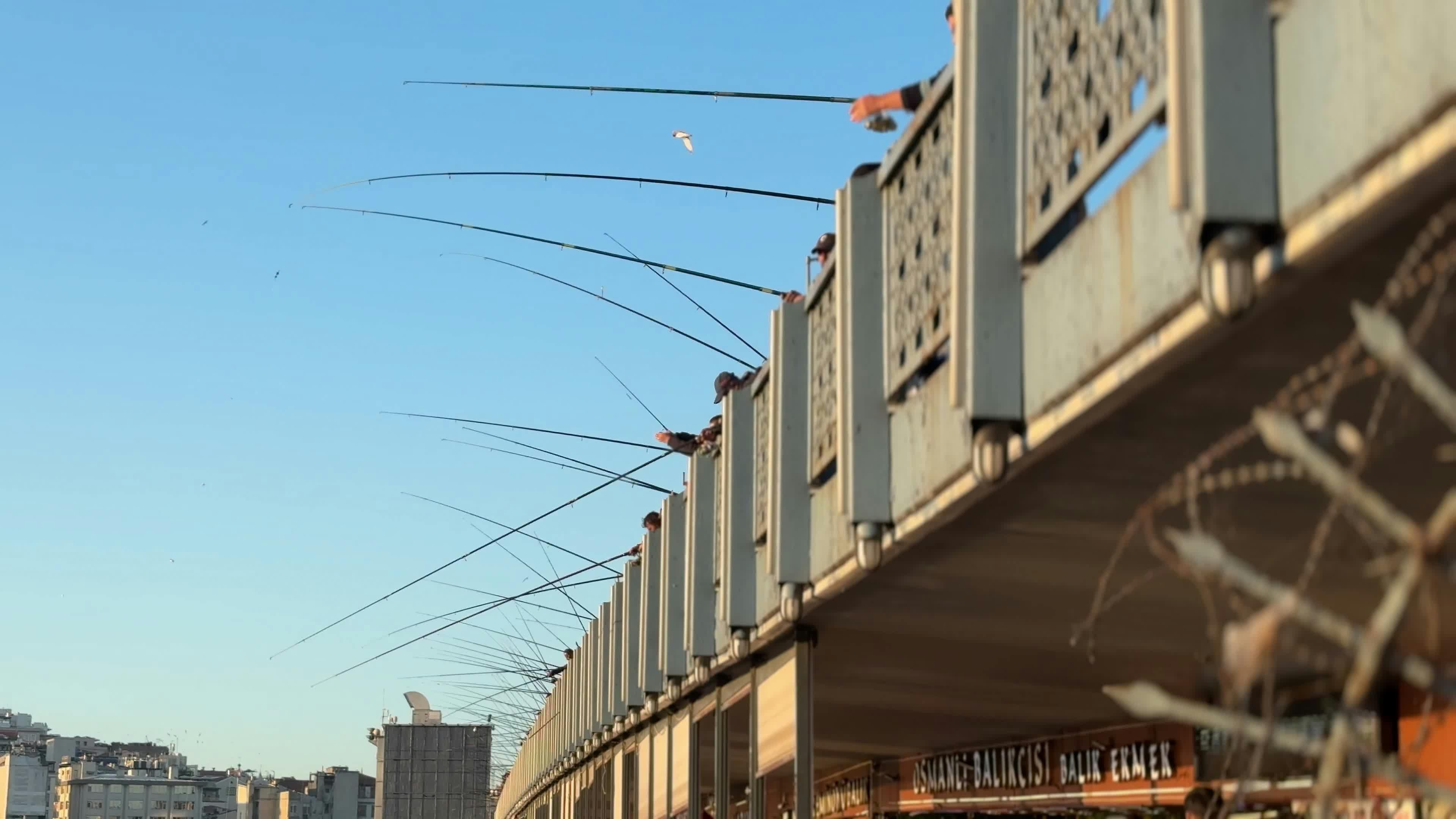 Bustling Bridge Fishing Scene at Sunset Free Stock Video Footage ...
