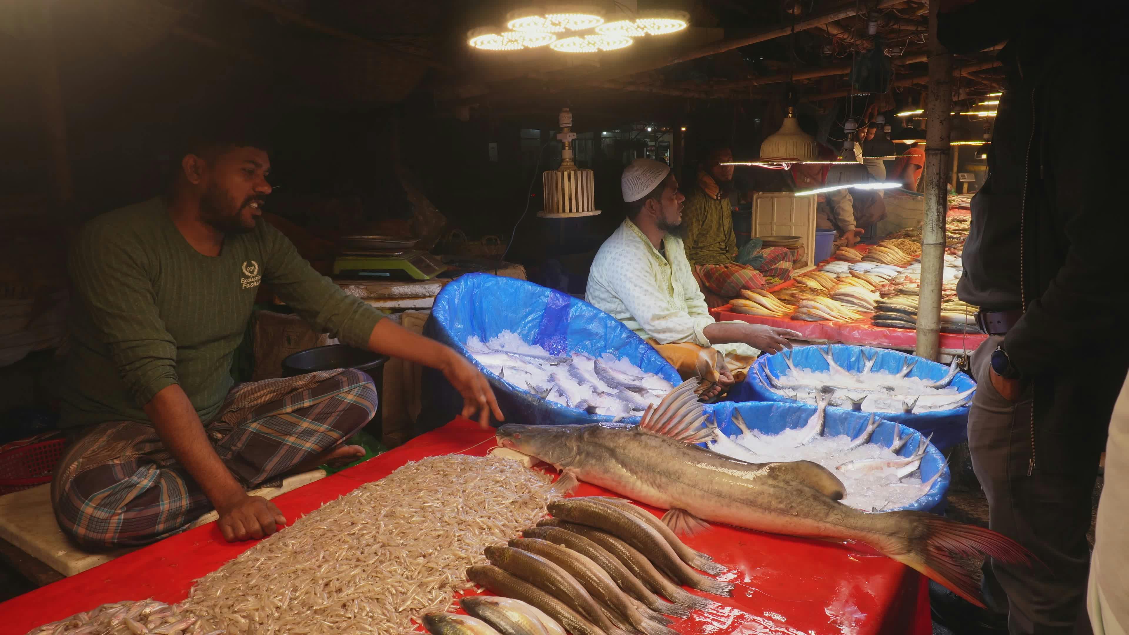Suasana Kios Ikan Pasar Malam Asia Yang Ramai · Video Stok Gratis