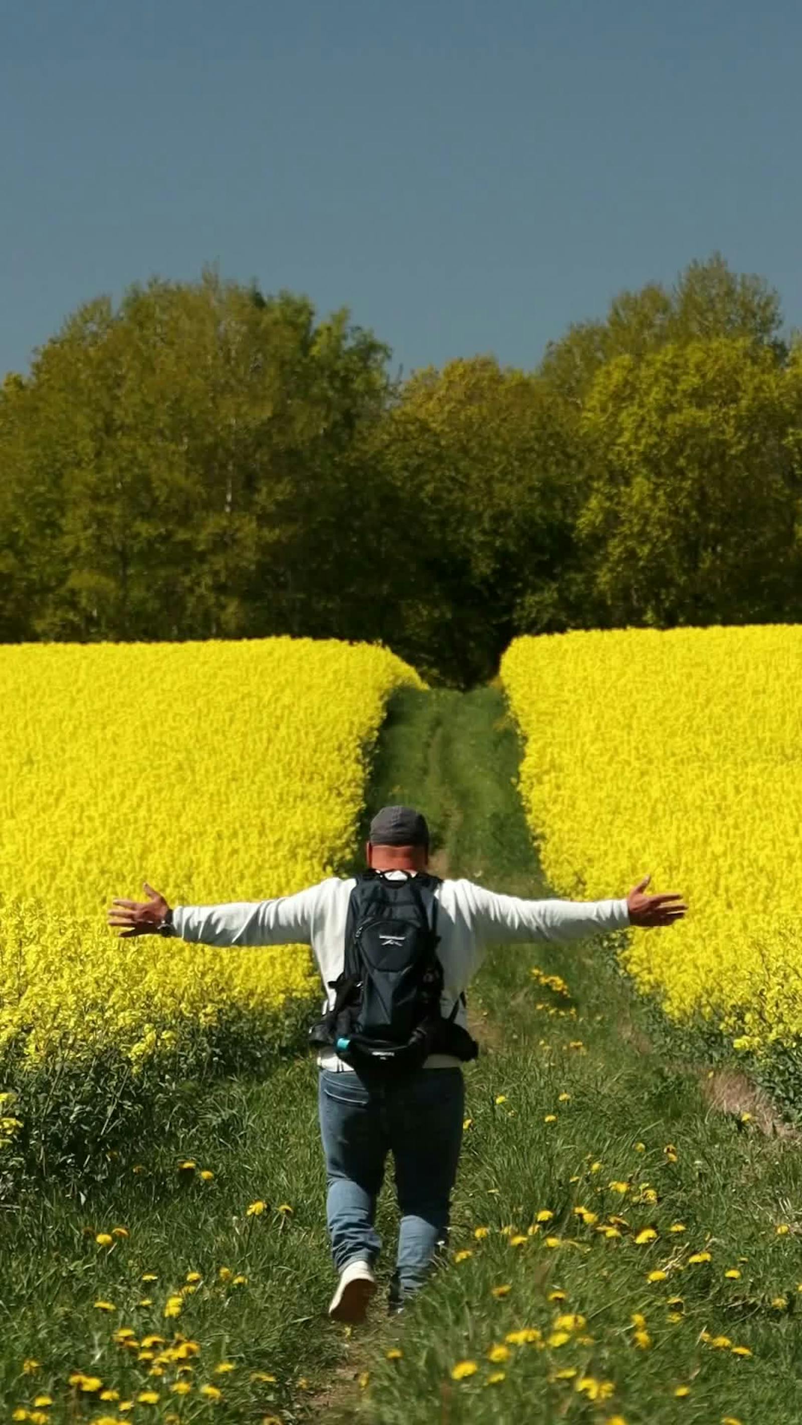 Videos Pixabay Videos, Download The BEST Free 4k Stock Video Footage ...