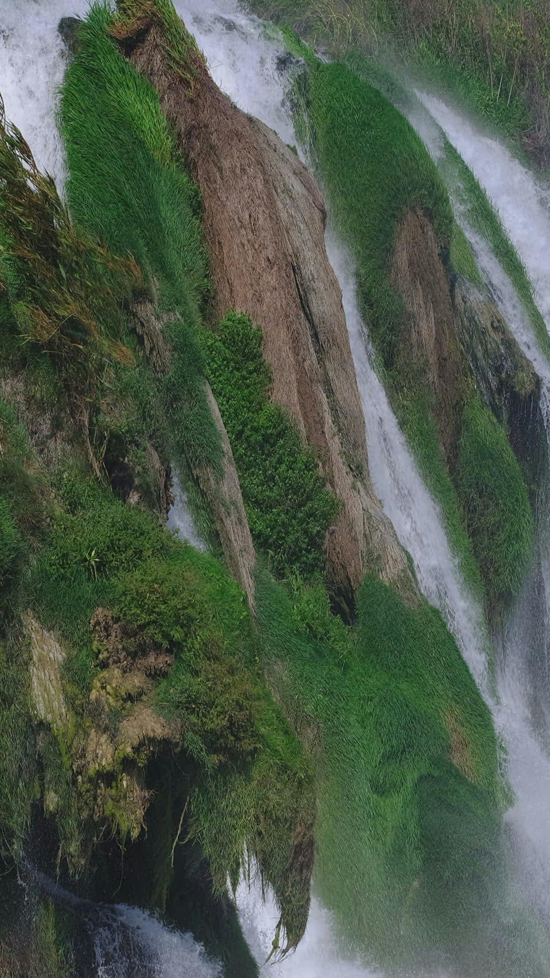 Majestic Waterfall Cascading in Lush Forest Free Stock Video Footage ...