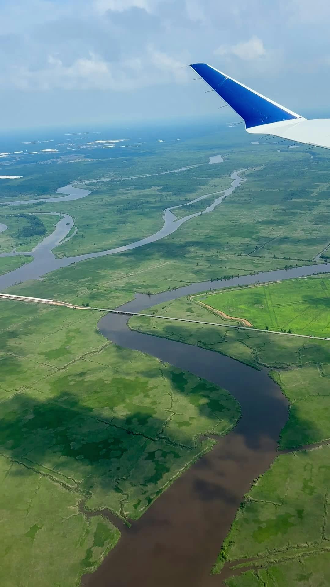 Aerial View of Lush Green Landscape from Plane Free Stock Video Footage ...