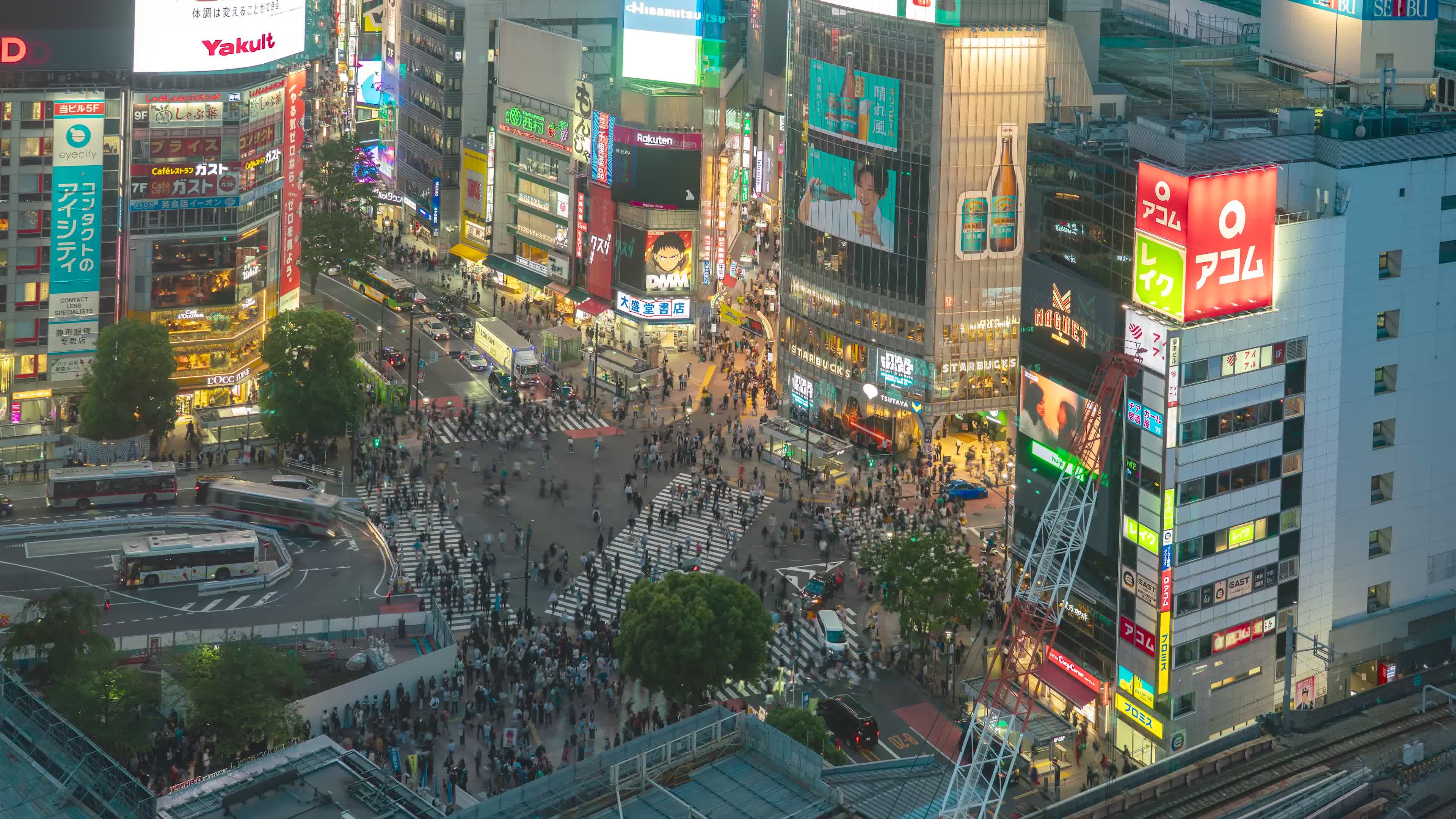 Timelapse of Shibuya Crossing in Tokyo at Night Free Stock Video ...