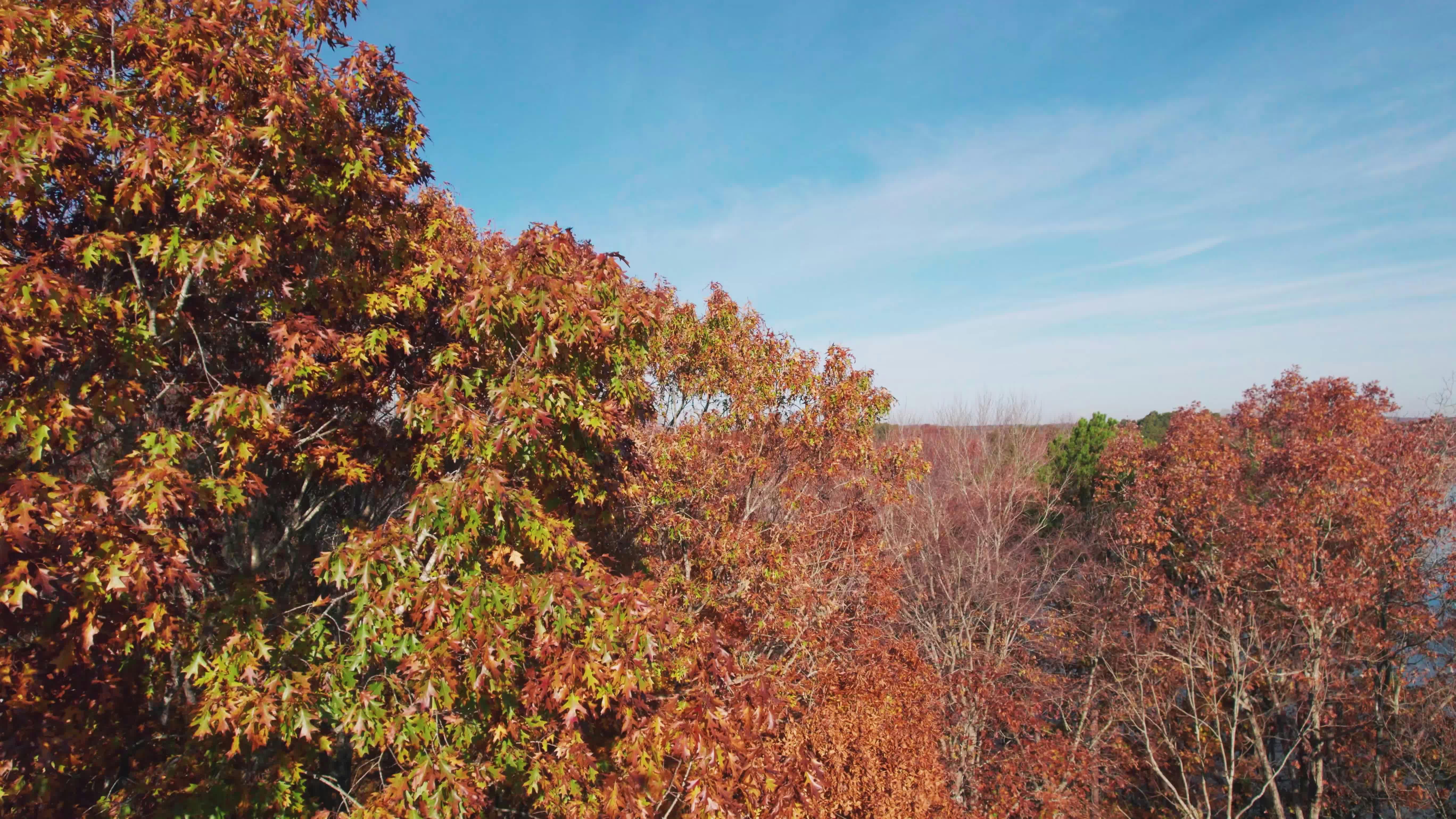 Stunning 4K Aerial View of Fall Foliage and Lake Free Stock Video ...