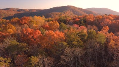 Videos Videos, Download The BEST Free 4k Stock Video Footage & Videos ...