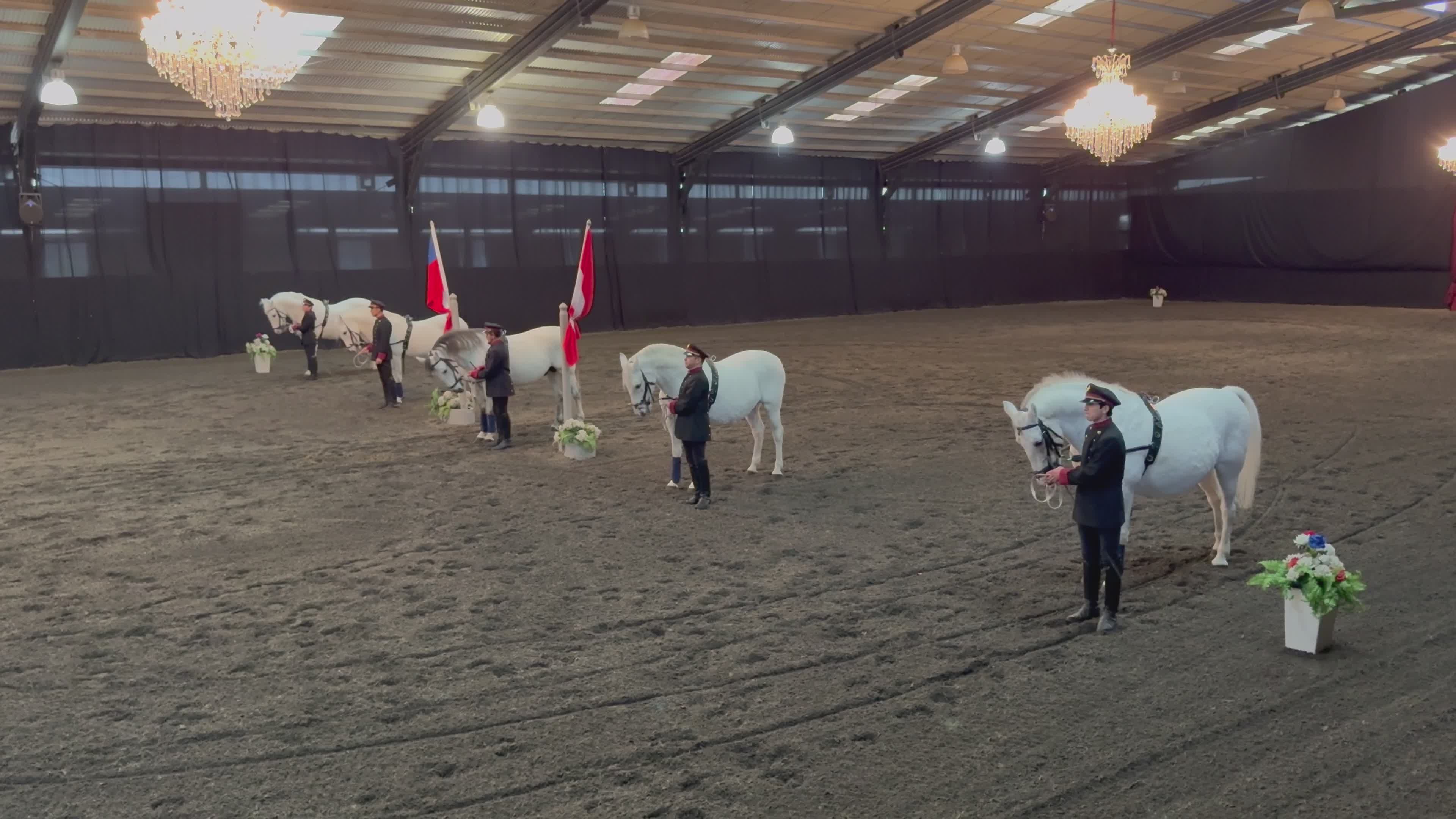 Elegant Horse Show in Indoor Arena Free Stock Video Footage, Royalty ...