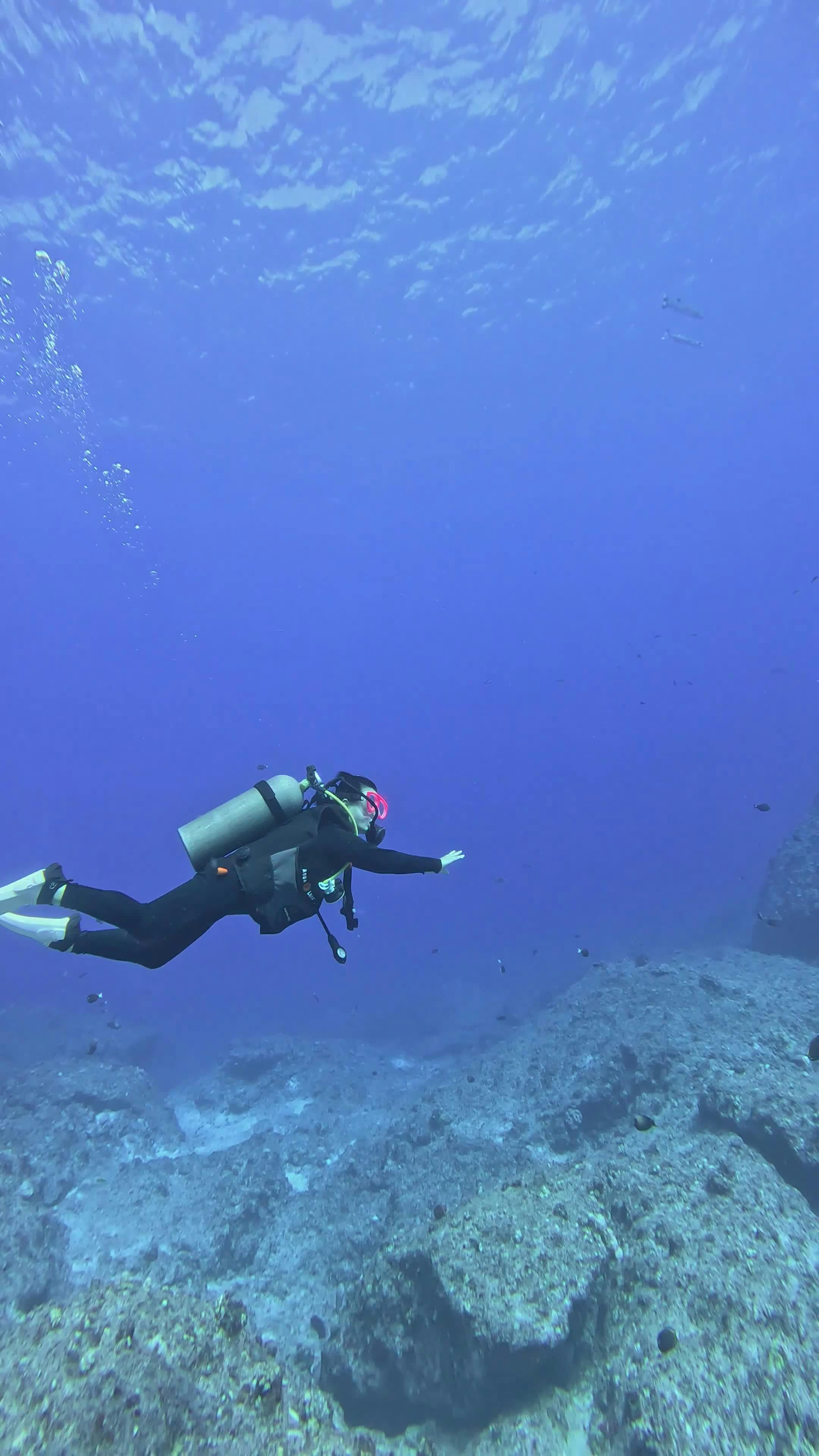 Underwater Diving 4k, Blue Ocean, Sunlight Beams Videos, Download The ...