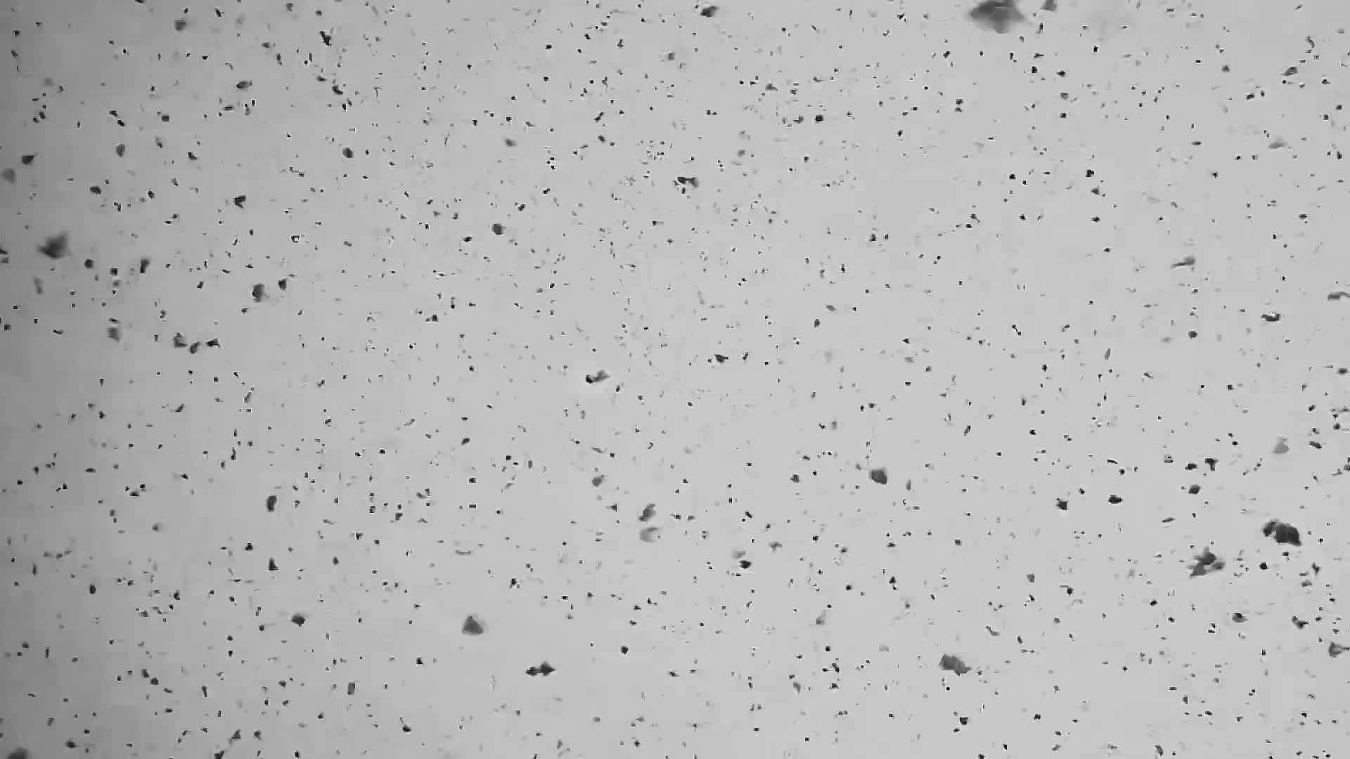 Abstract Floating Particles in Motion Free Stock Video Footage, Royalty ...