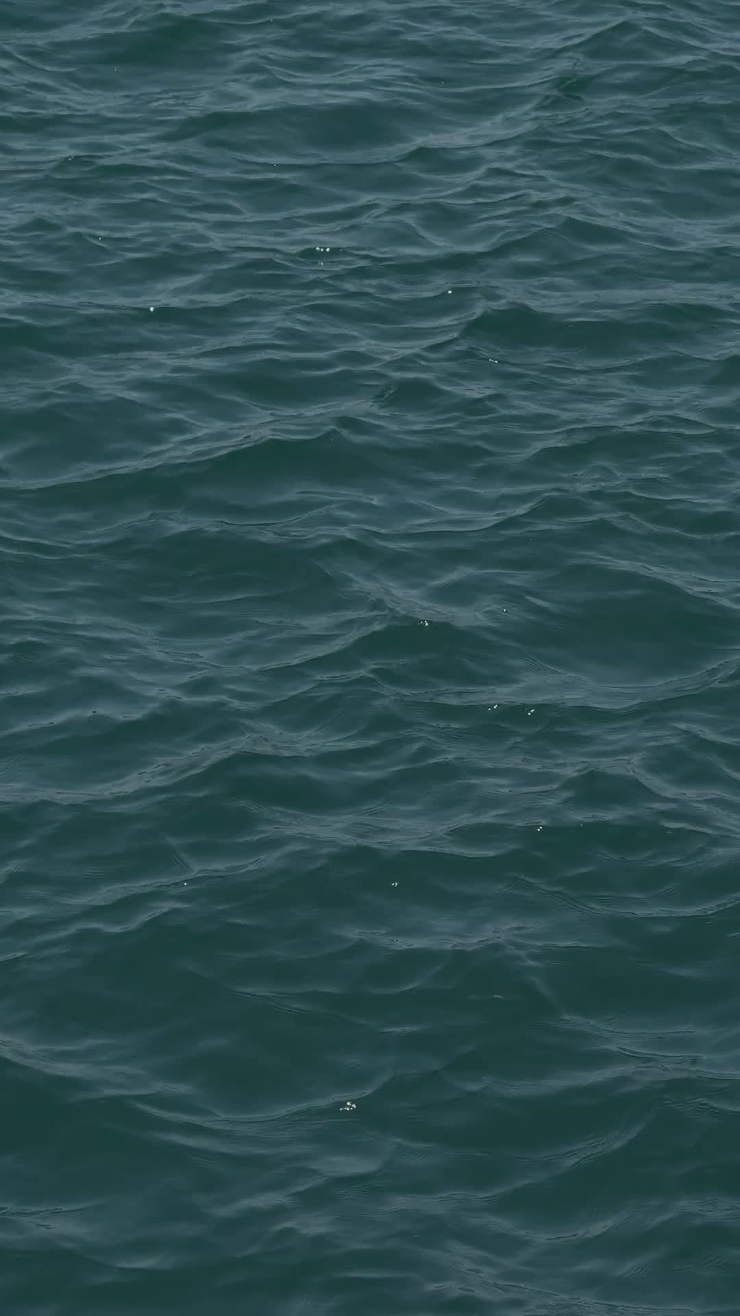 4k Wallpaper Videos, Download The BEST Free 4k Stock Video Footage & 4k ...