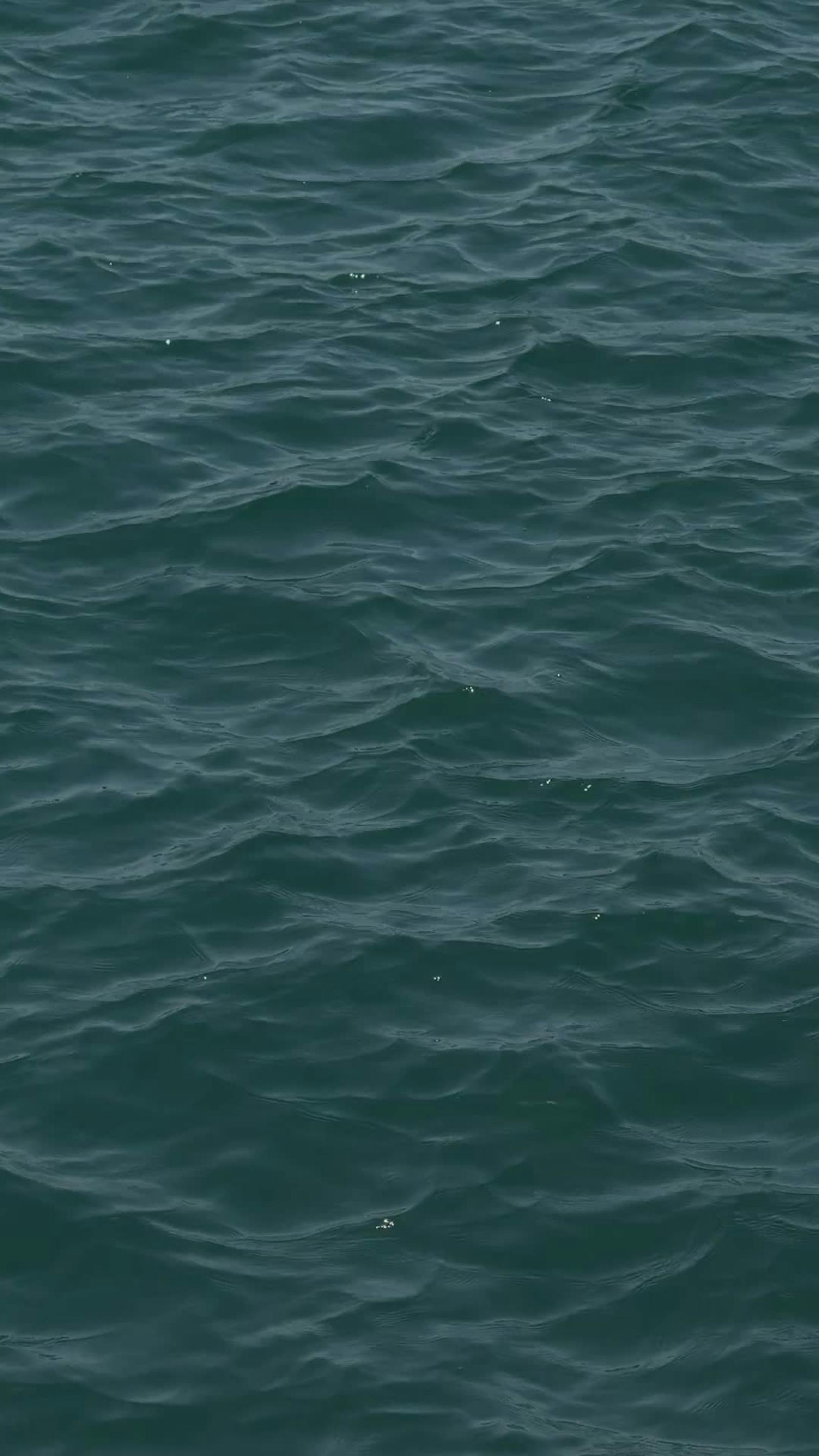 Rap 32k Wallpaper Videos, Download The BEST Free 4k Stock Video Footage ...