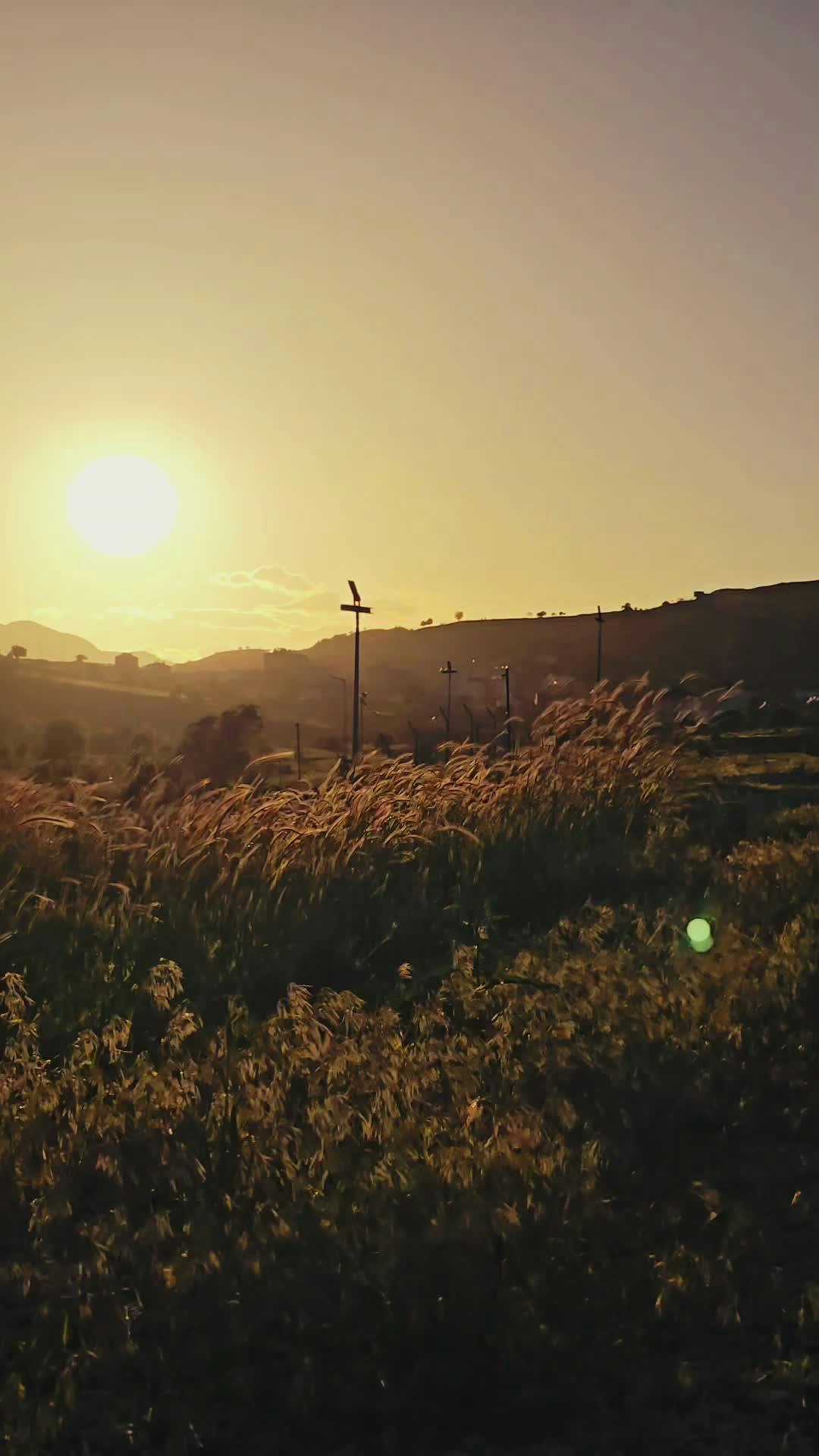Golden Sunset Over Rural Field Landscape Free Stock Video Footage ...