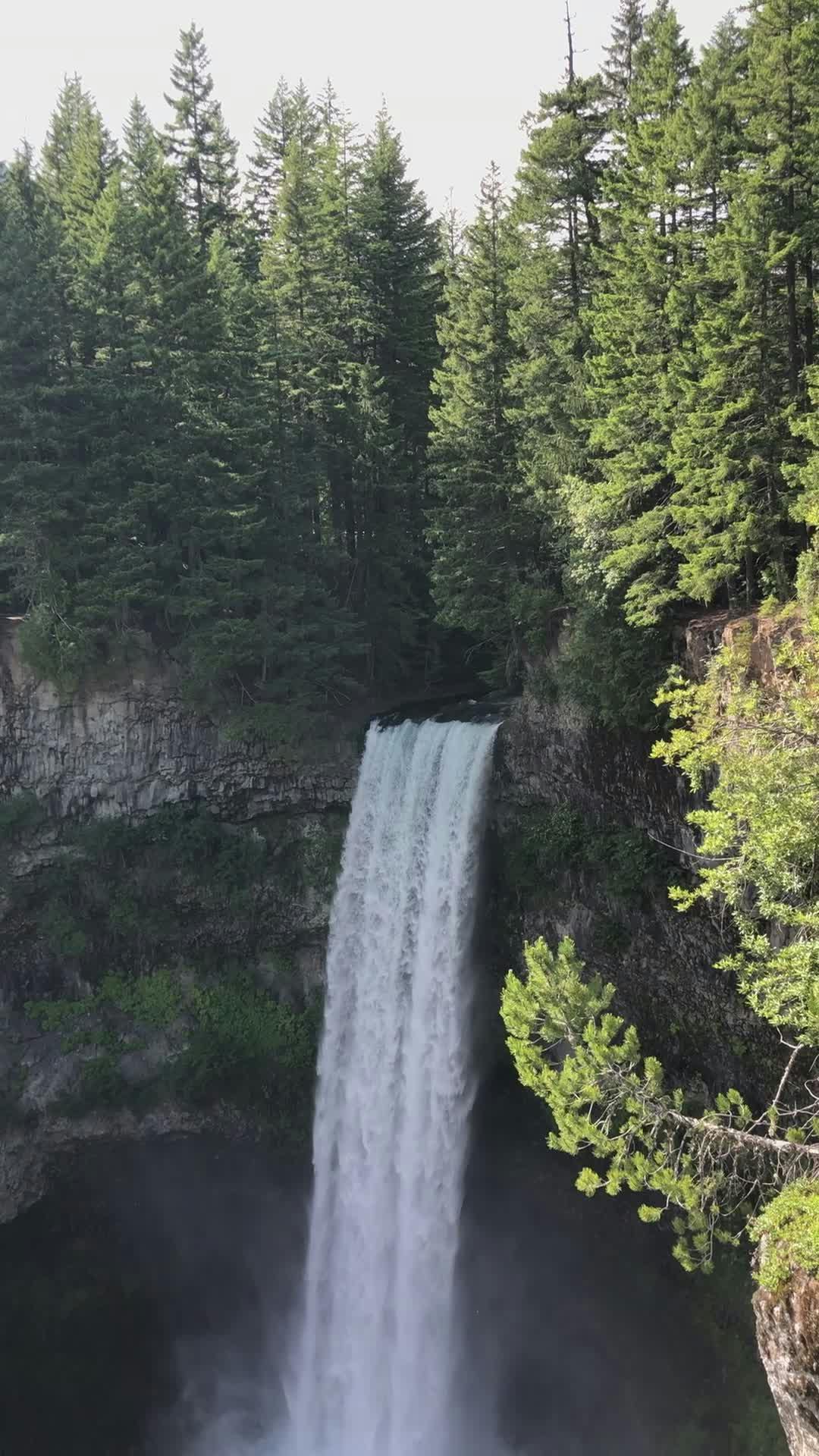 Color Pic Videos, Download The BEST Free 4k Stock Video Footage & Color ...