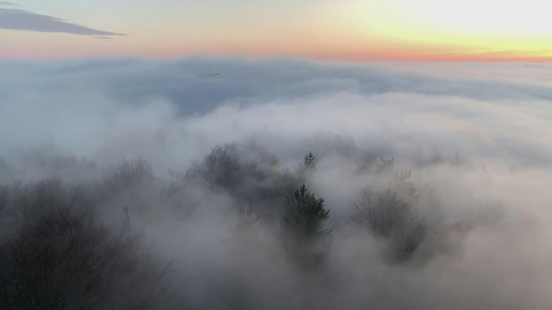 Layer Tri Videos, Download The BEST Free 4k Stock Video Footage & Layer ...