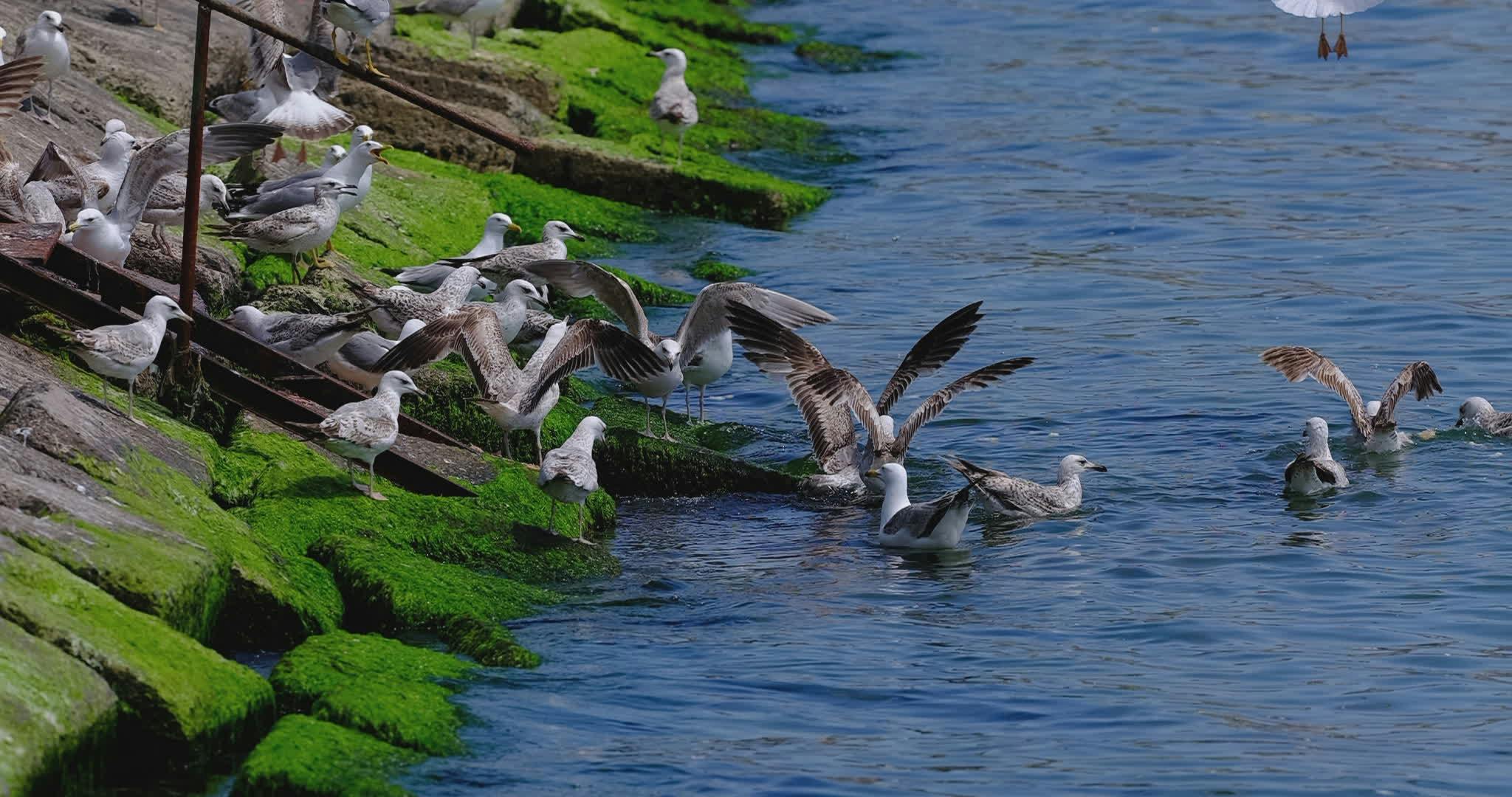 Calm Nature Videos, Download The BEST Free 4k Stock Video Footage ...