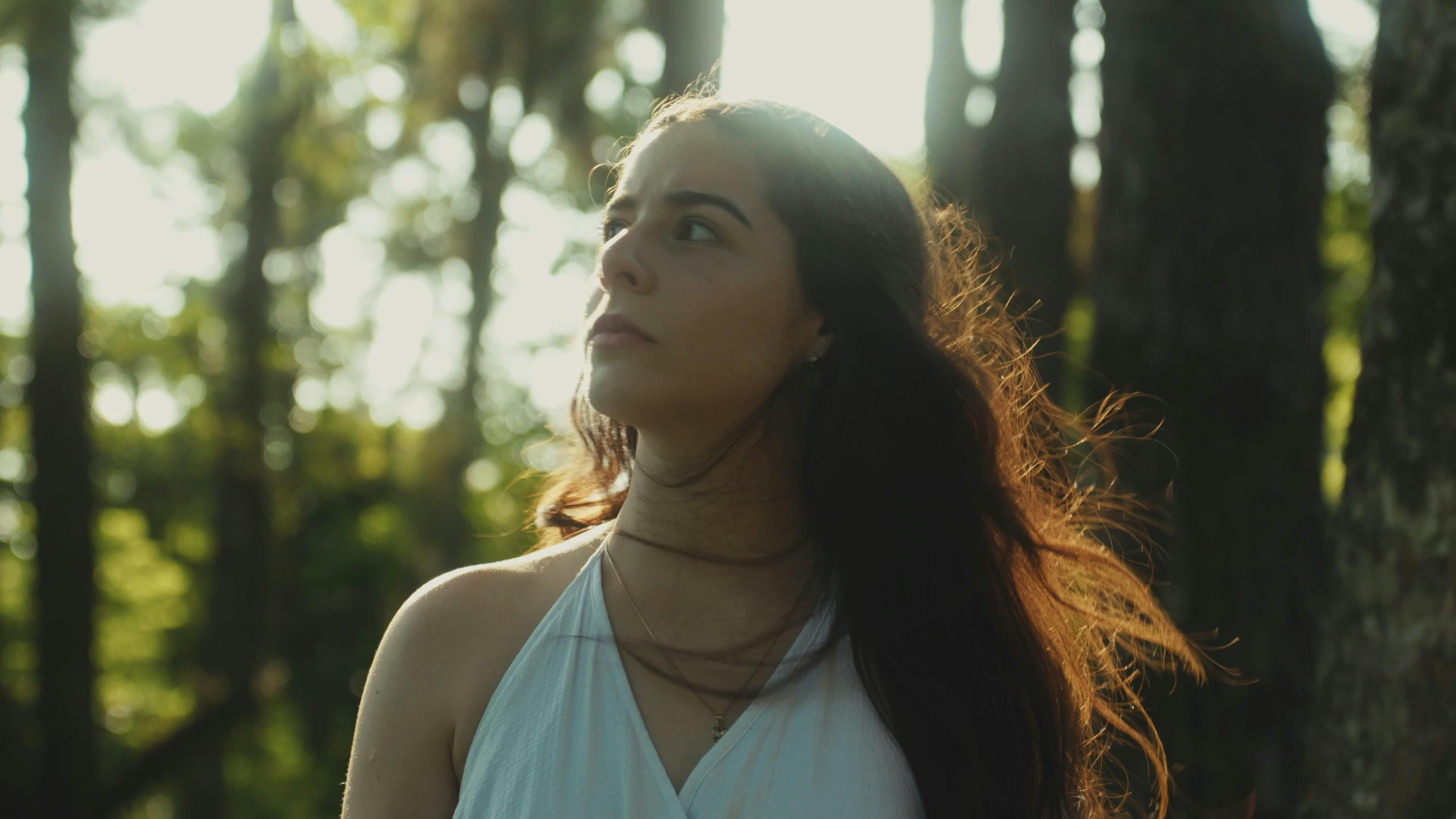 Freedom Aesthetic Videos, Download The BEST Free 4k Stock Video Footage ...