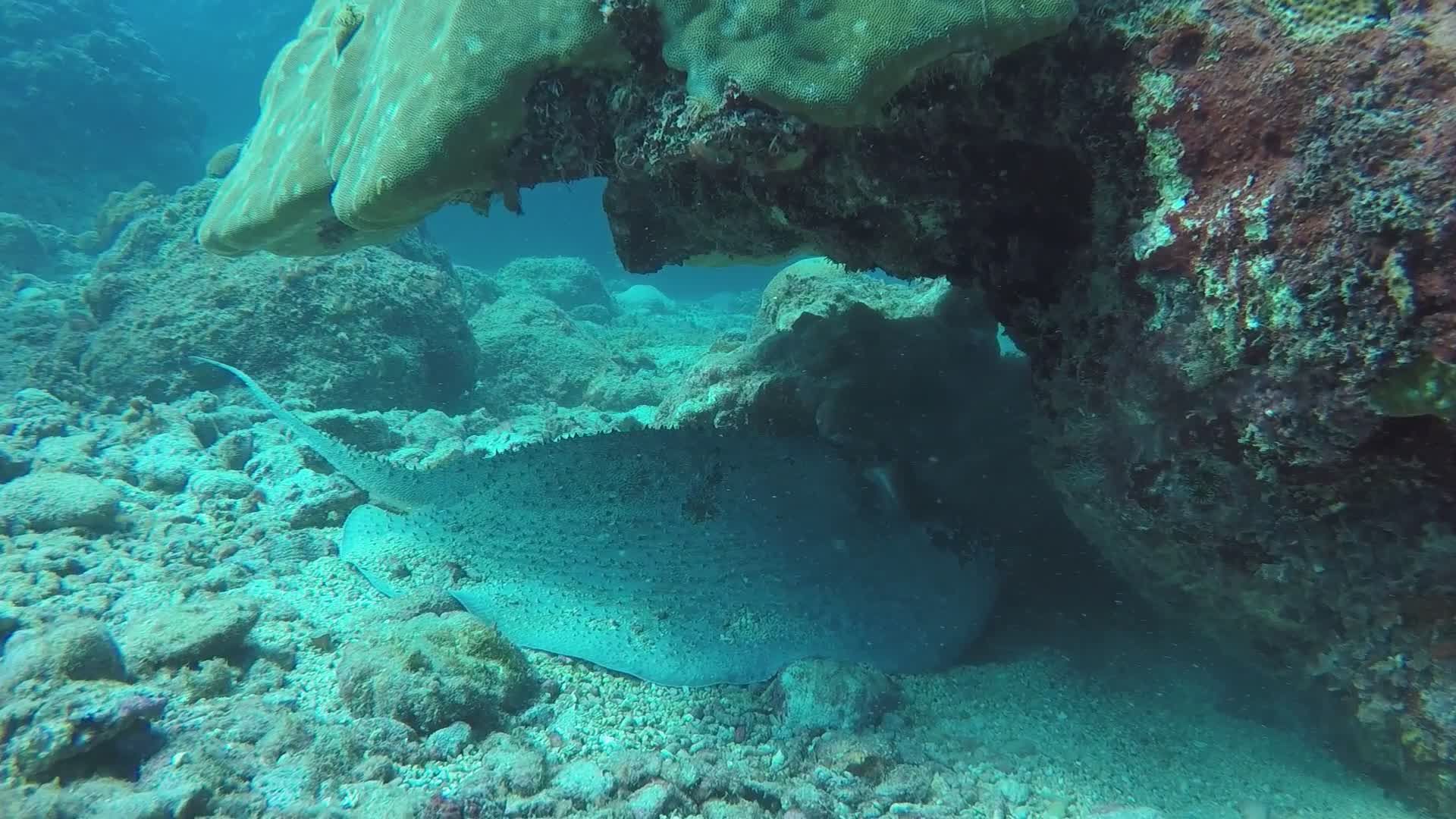Natura Sea Videos, Download The BEST Free 4k Stock Video Footage ...