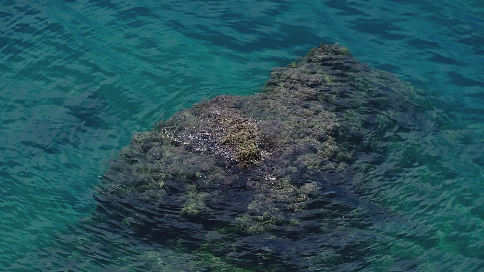 Deep Horror Background Videos, Download The BEST Free 4k Stock Video ...