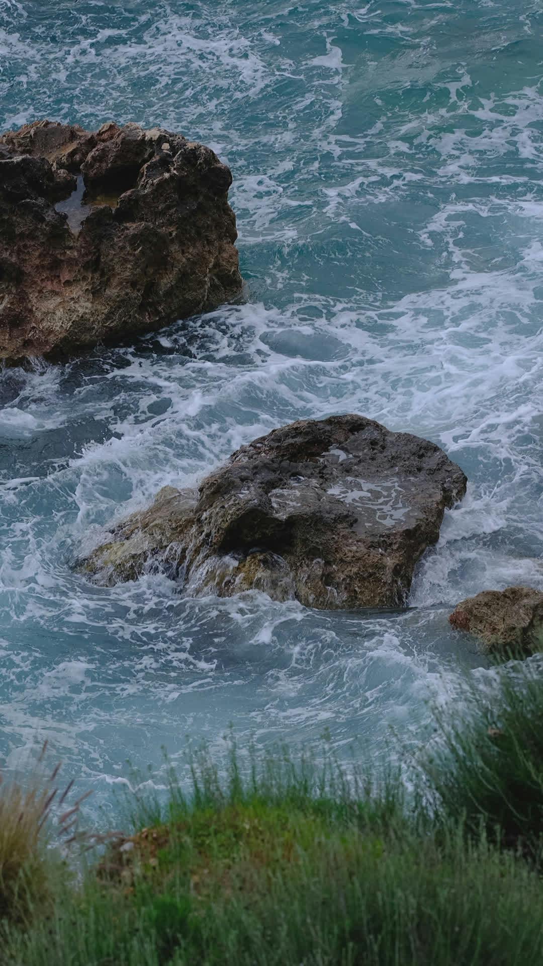 Stem Wave Therapy Videos, Download The BEST Free 4k Stock Video Footage ...